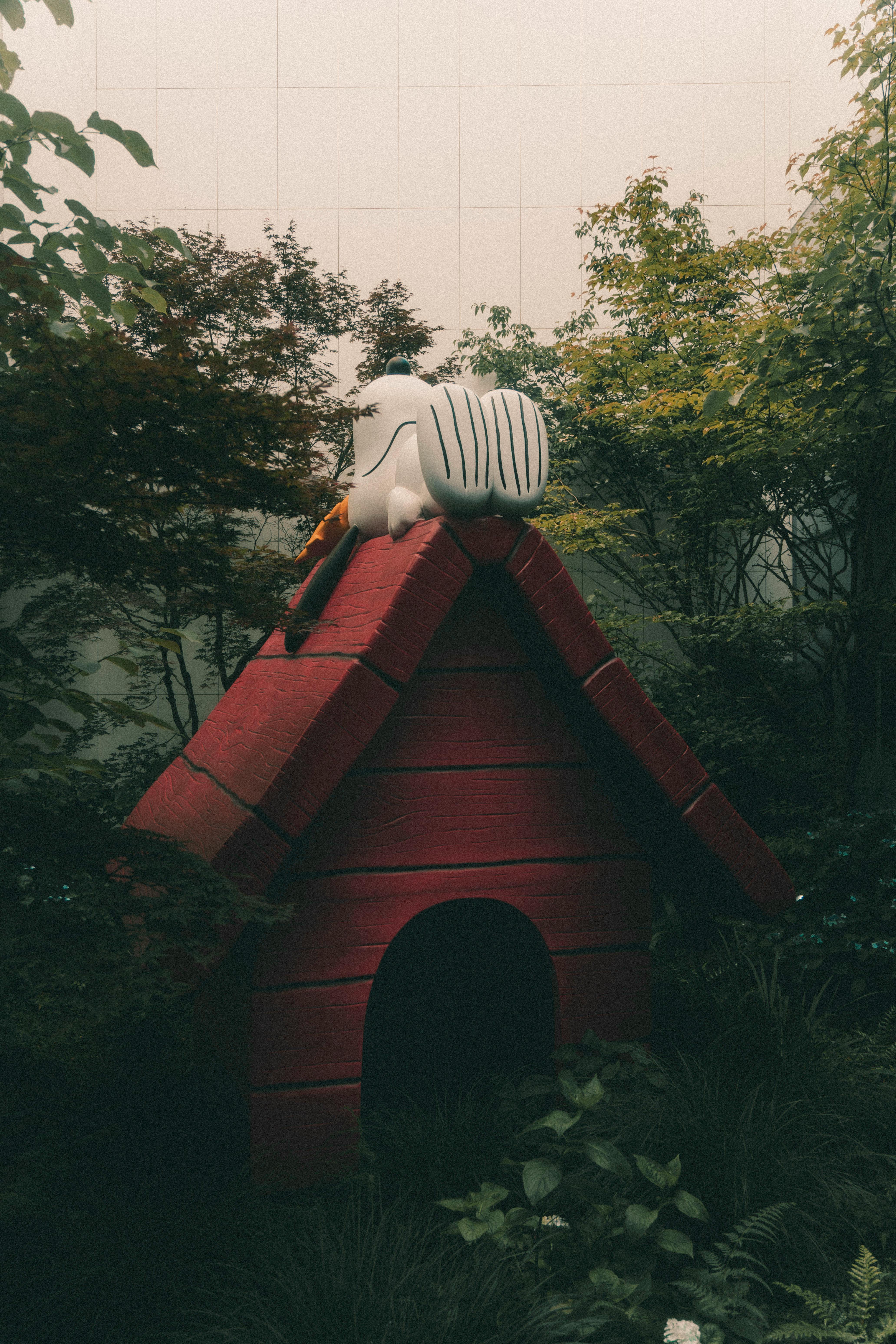 Snoopy Photos, Download The BEST Free Snoopy Stock Photos & HD Images