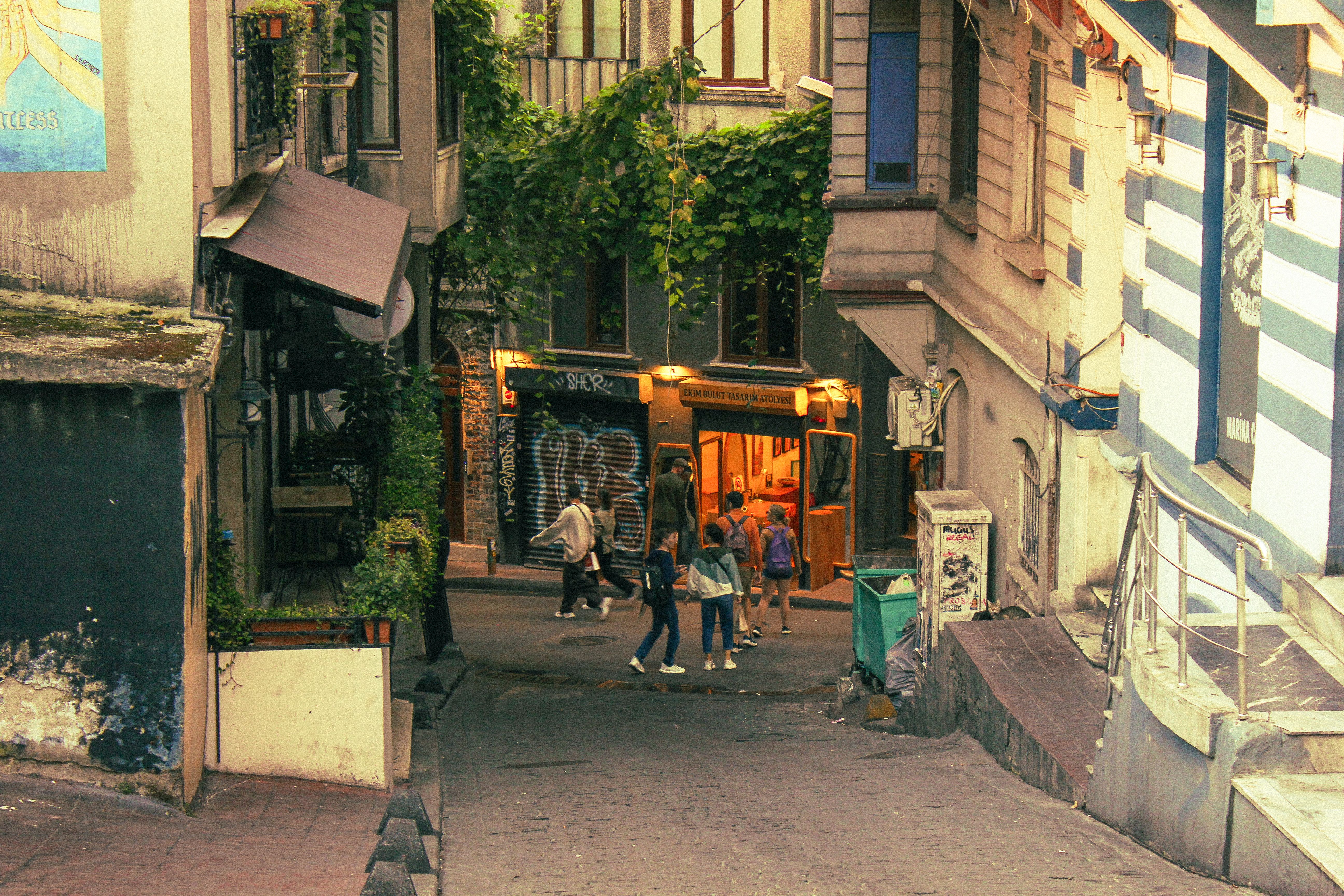 Back View of Women Walking on a Street · Free Stock Photo
