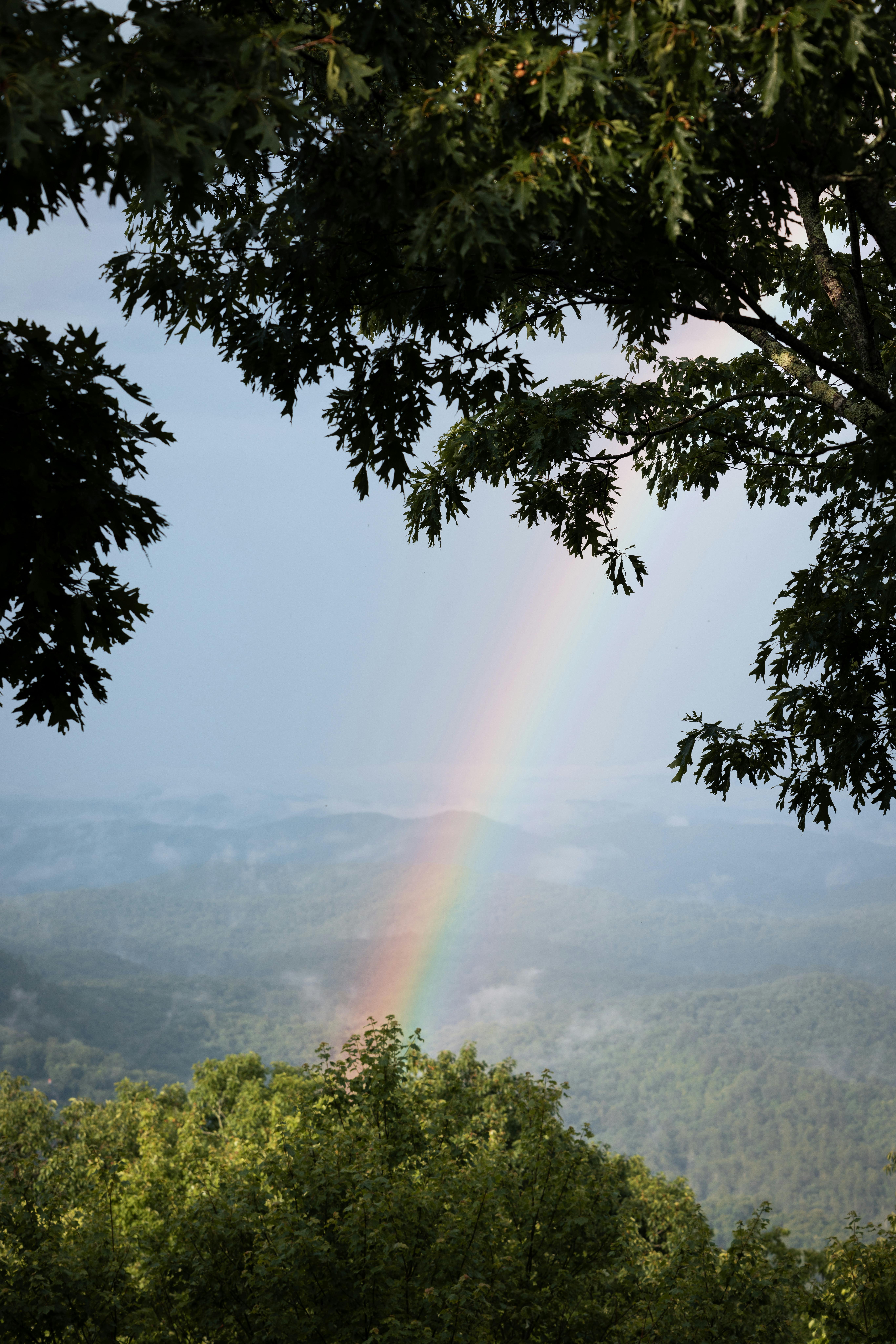 Scenic Rainbow Over Lush North Carolina Landscape · Free Stock Photo