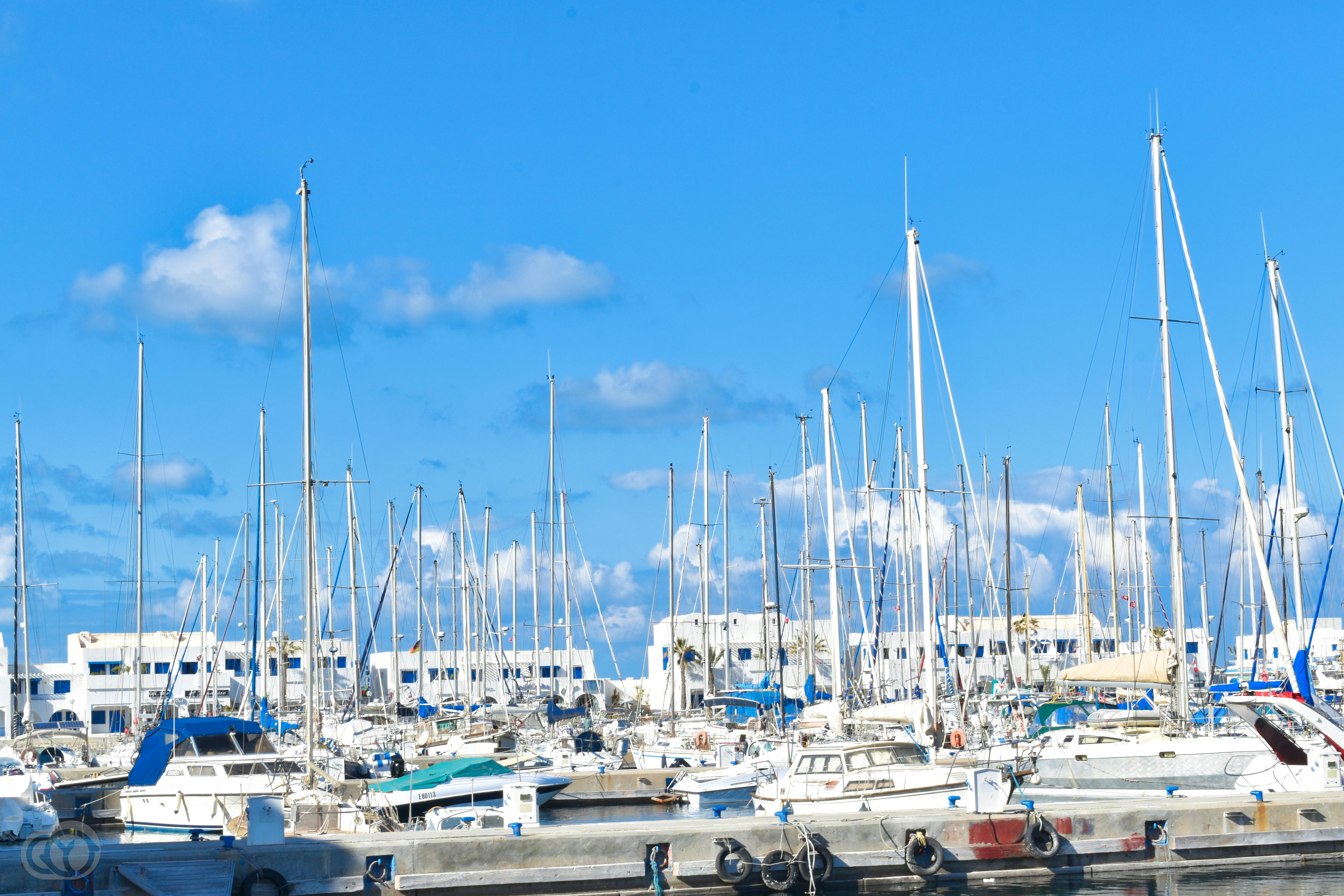 Free stock photo of blue sky, marina
