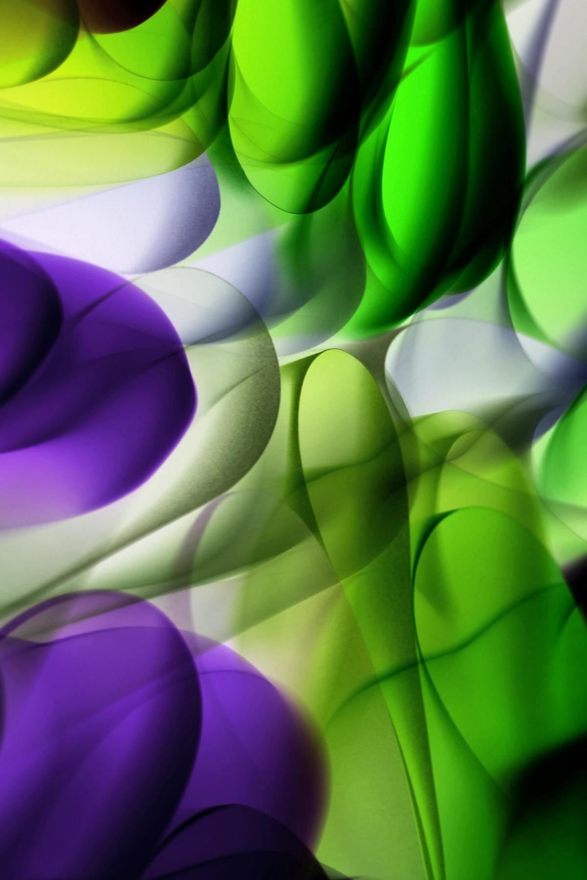 Green Fress Background Photos, Download The BEST Free Green Fress ...