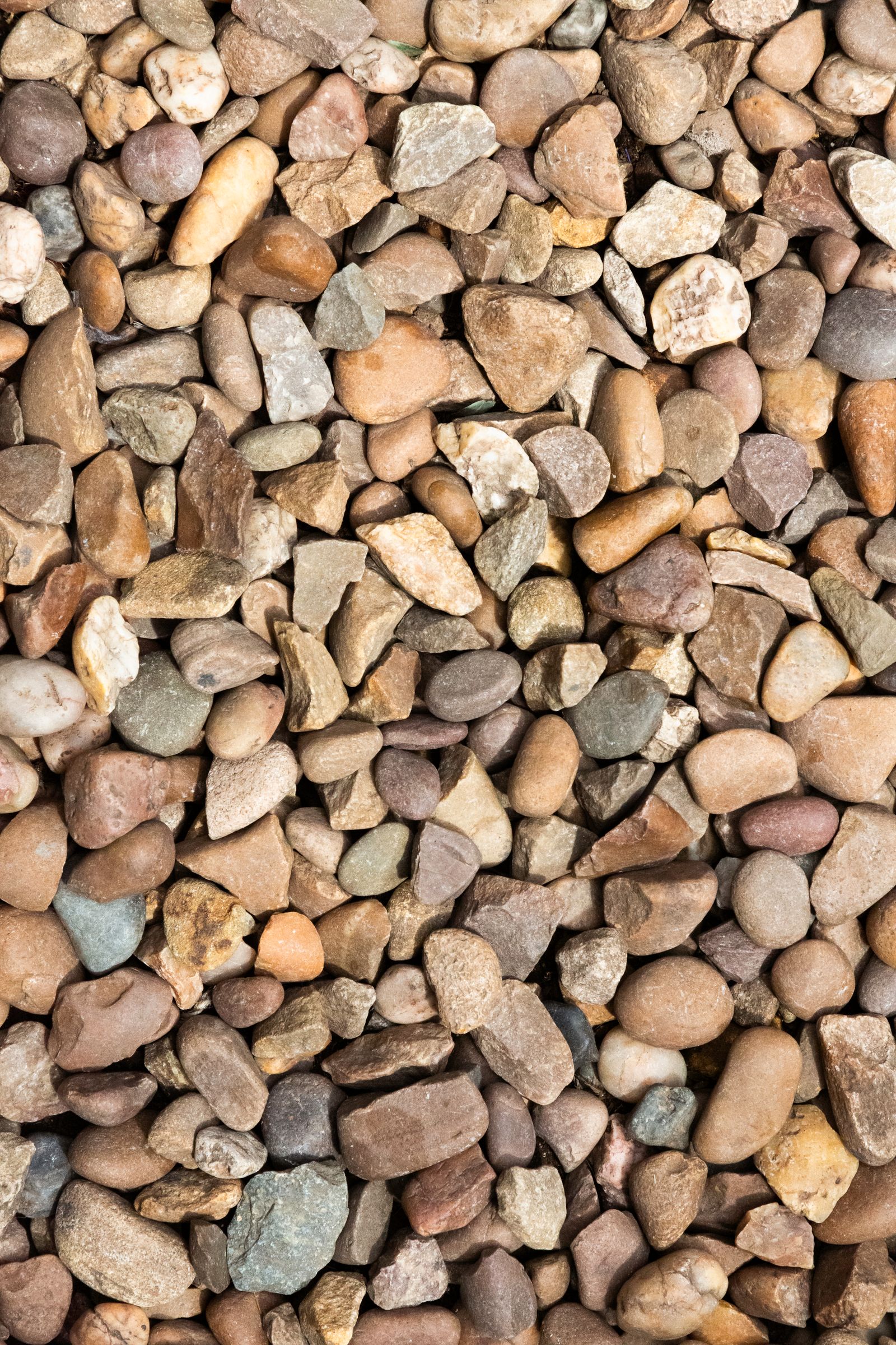 Background Taman Photos, Download The BEST Free Background Taman Stock ...