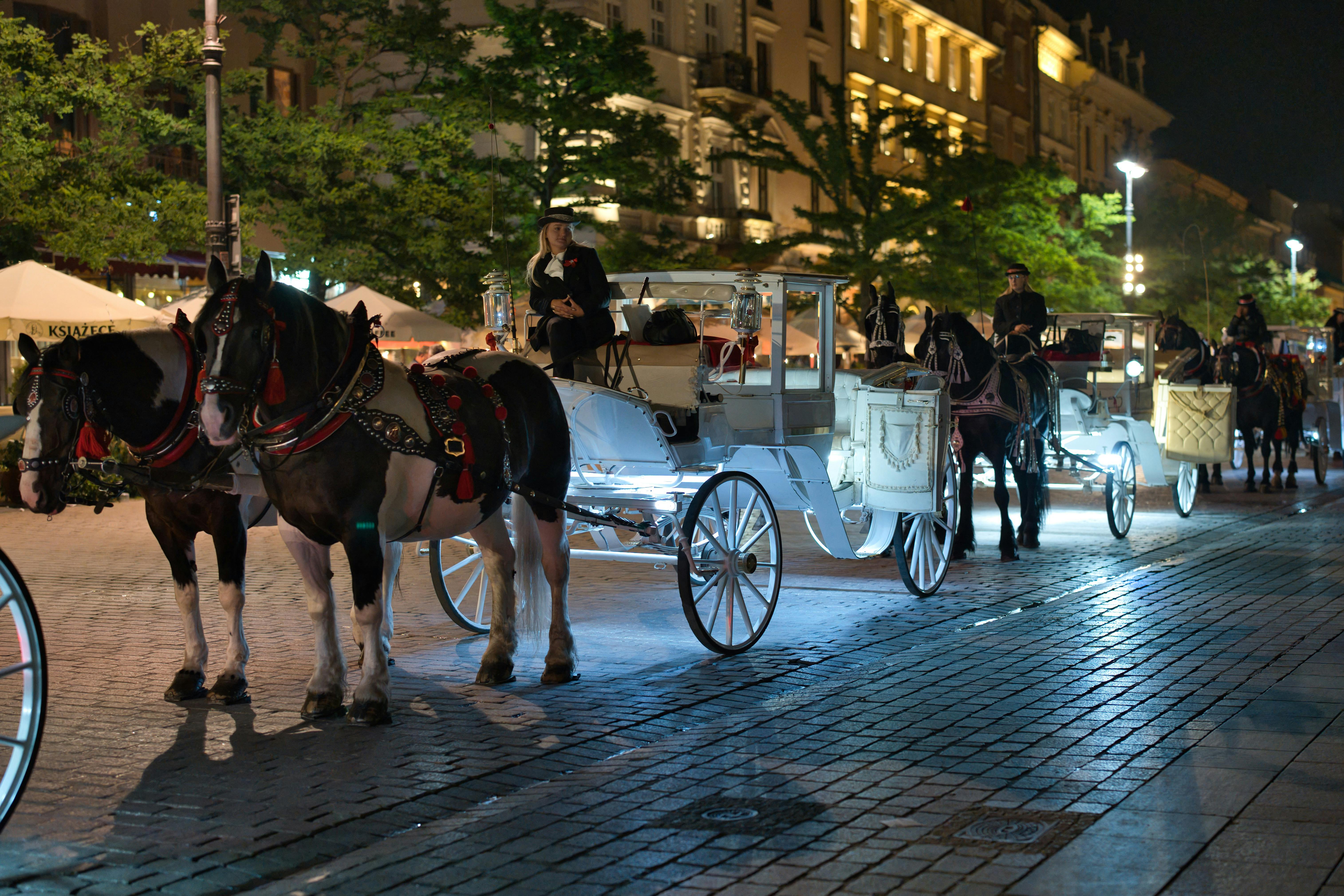 Ride A Horse Photos, Download The BEST Free Ride A Horse Stock Photos ...