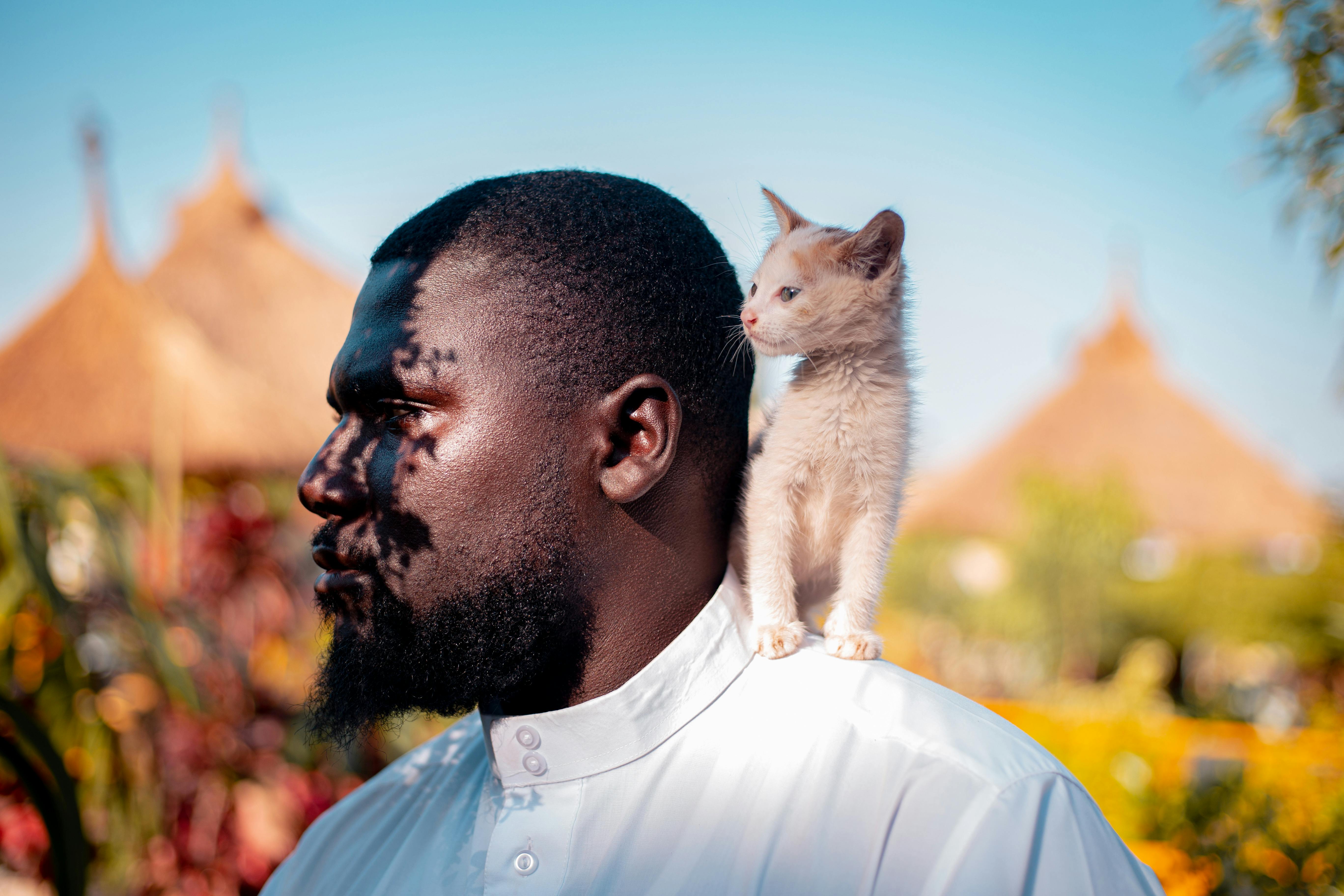 Human Interaction with Cats: Understanding Feline Behavior