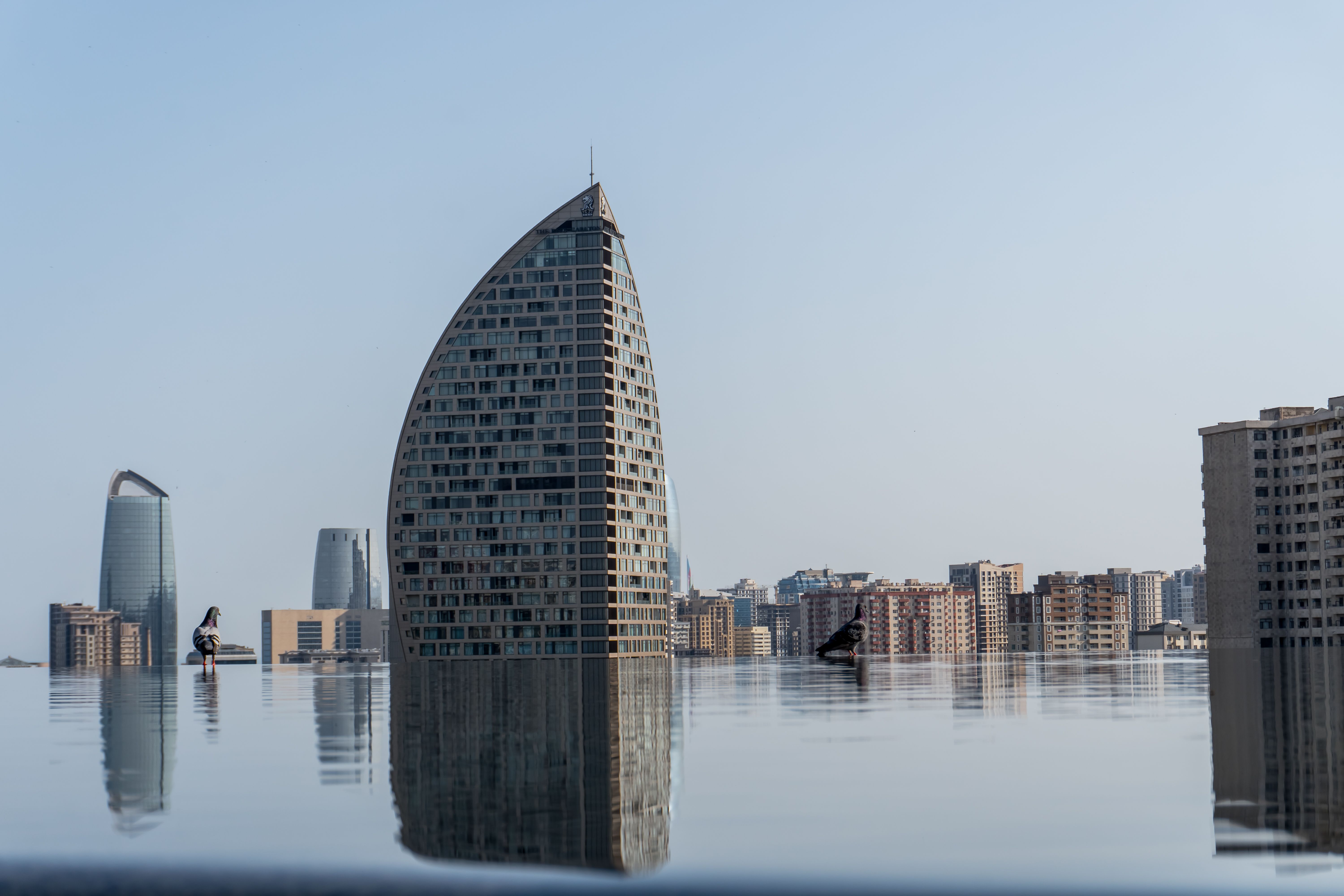 Modern Skyline Reflection in Infinity Pool · Free Stock Photo