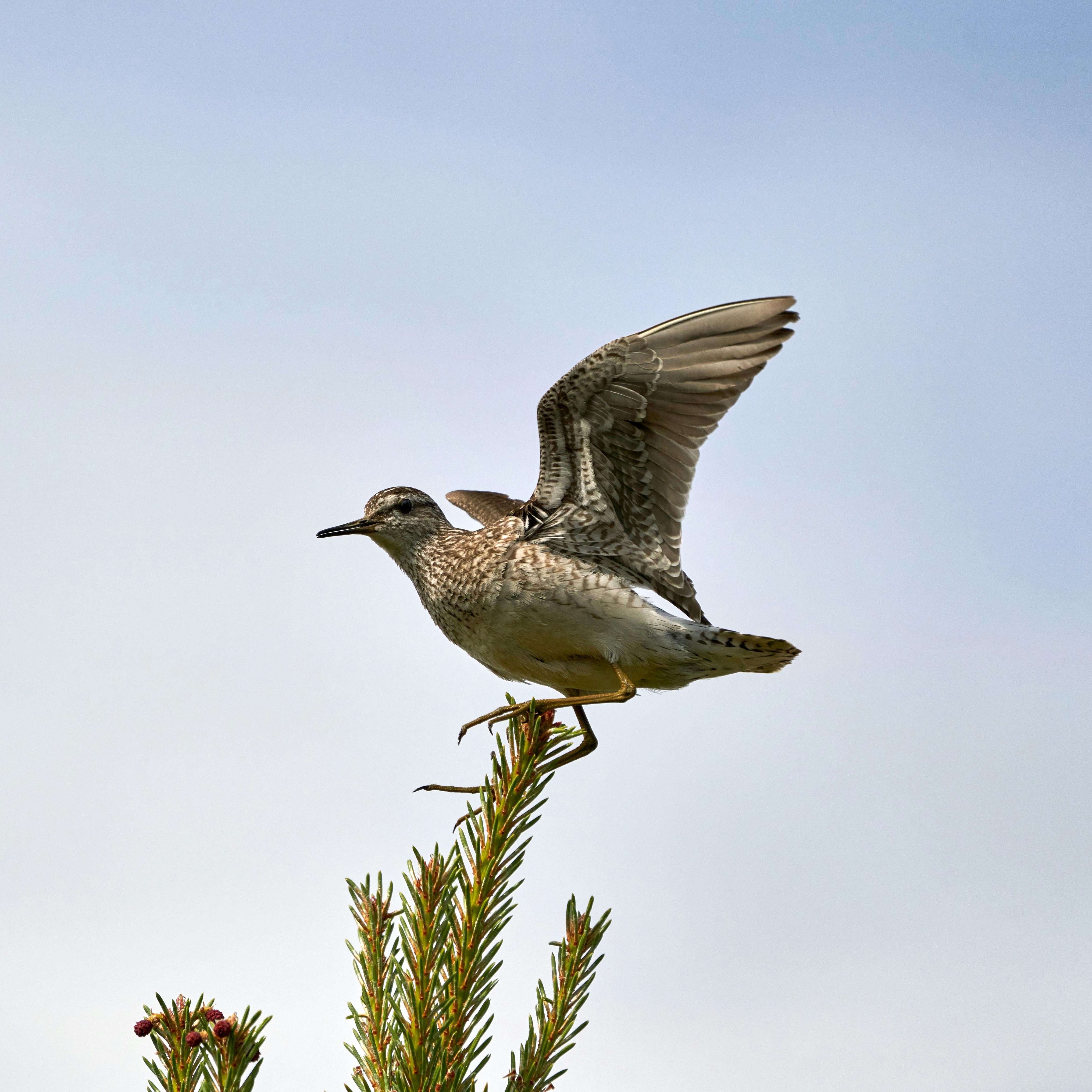 Morphing+Images Photos, Download The BEST Free Morphing+Images Stock ...