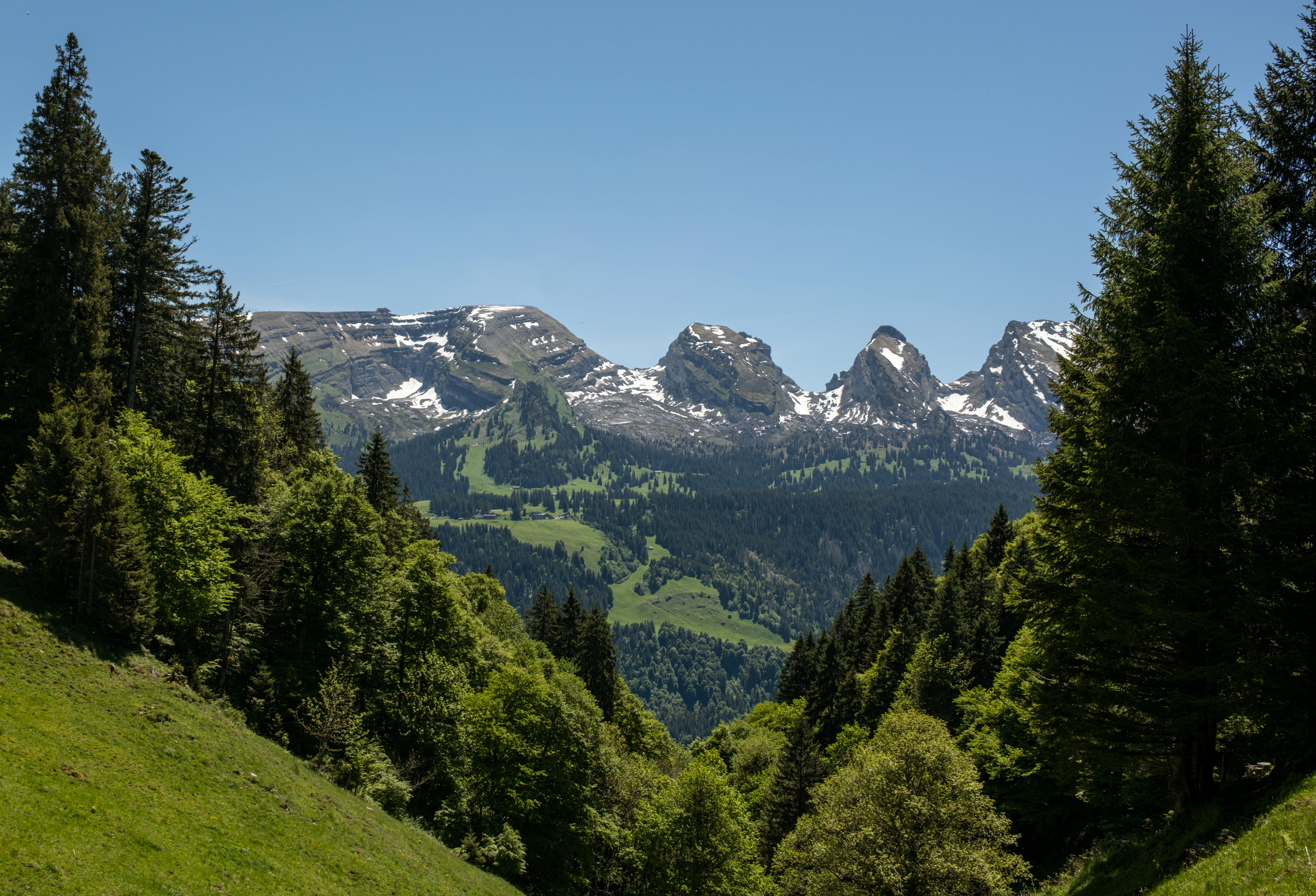 Paisagem De Tirar O Fôlego Dos Alpes Suíços · Foto profissional gratuita