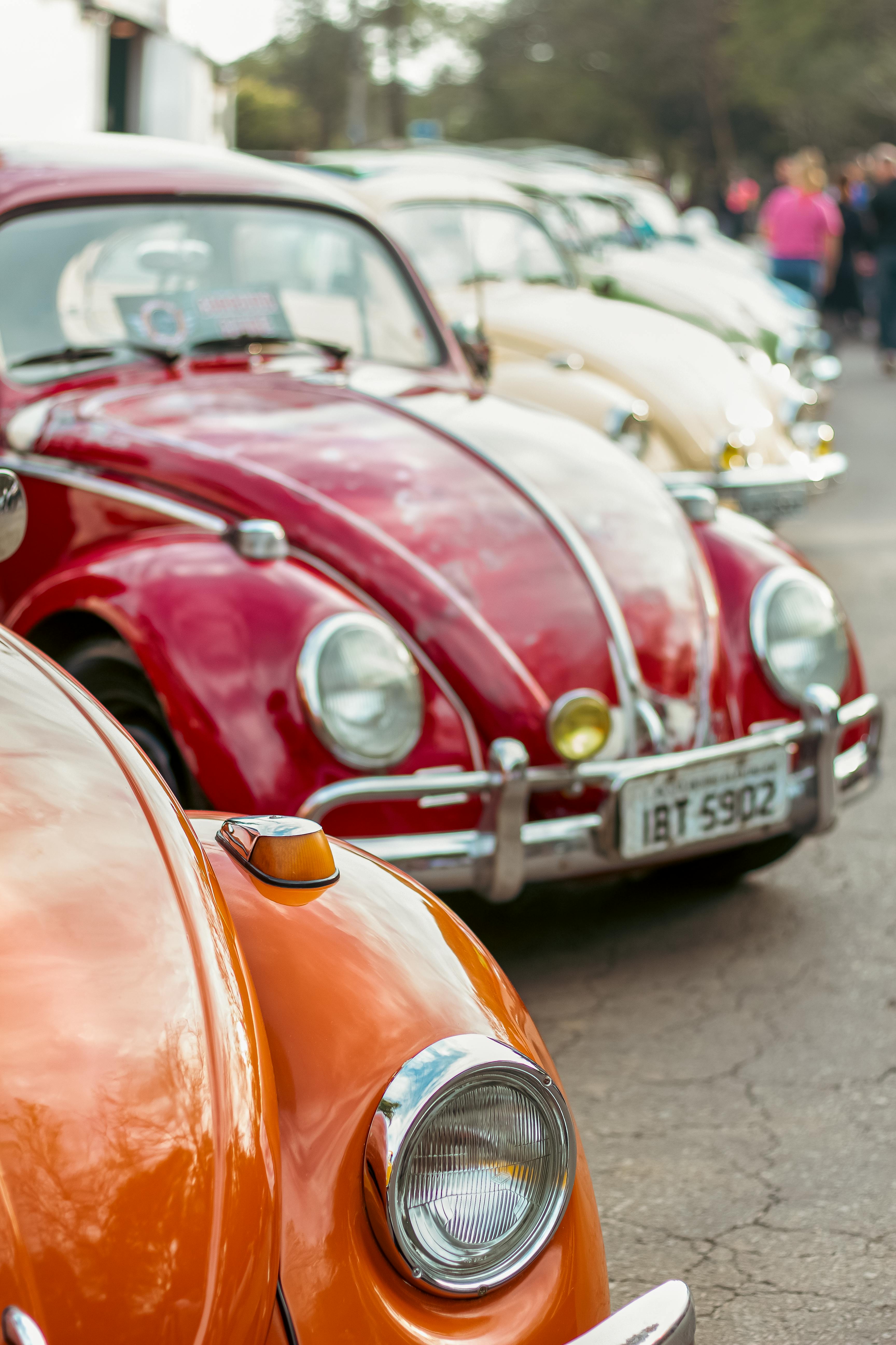 Classic Volkswagen Beetles in Campo Bom Street View · Free Stock Photo