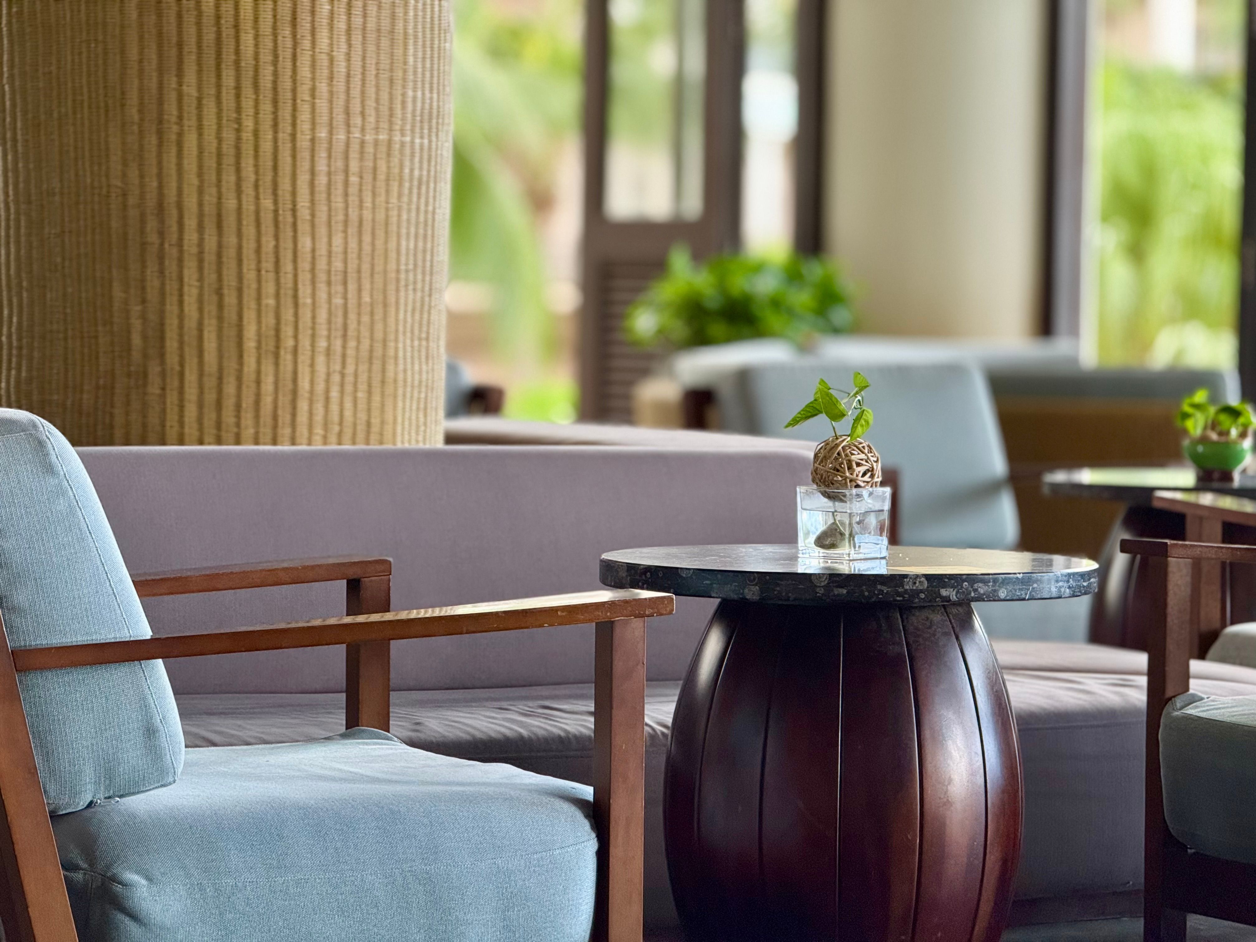 Cozy Indoor Seating with Wooden Furniture and Plants · Free Stock Photo