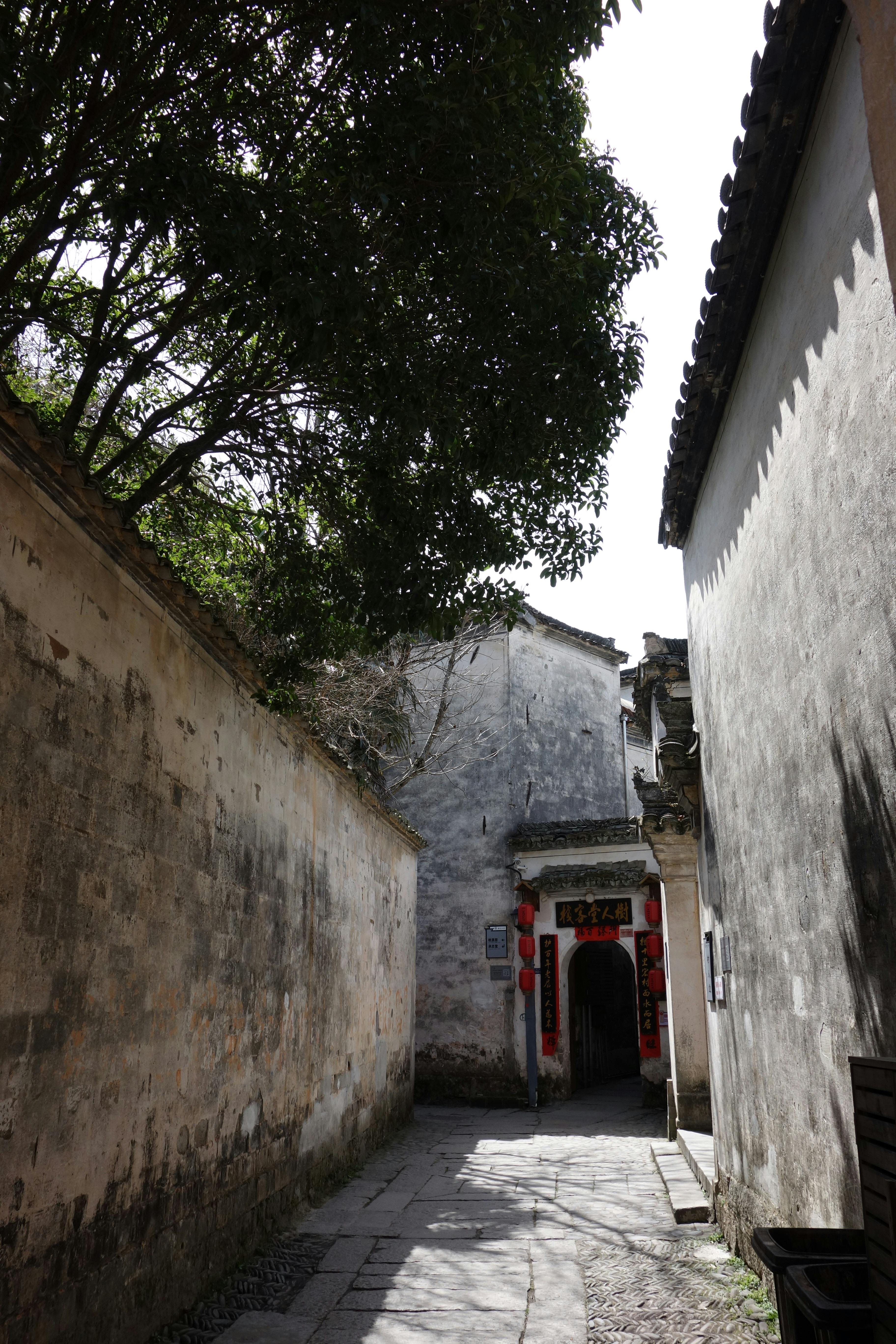 Traditional Chinese Alley with Red Lanterns · Free Stock Photo