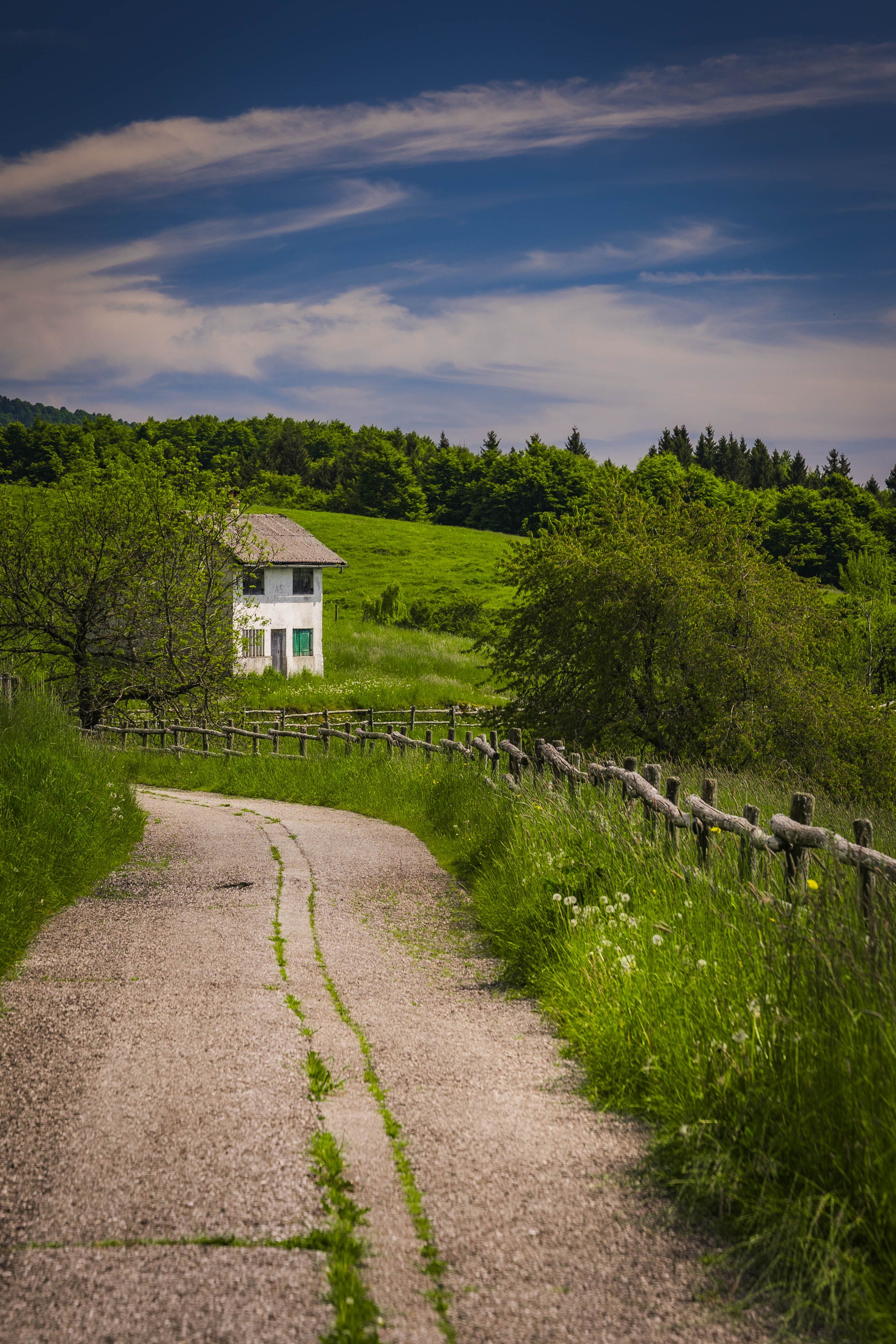 Tranquil Country Road Leading to Rustic Cottage · Free Stock Photo
