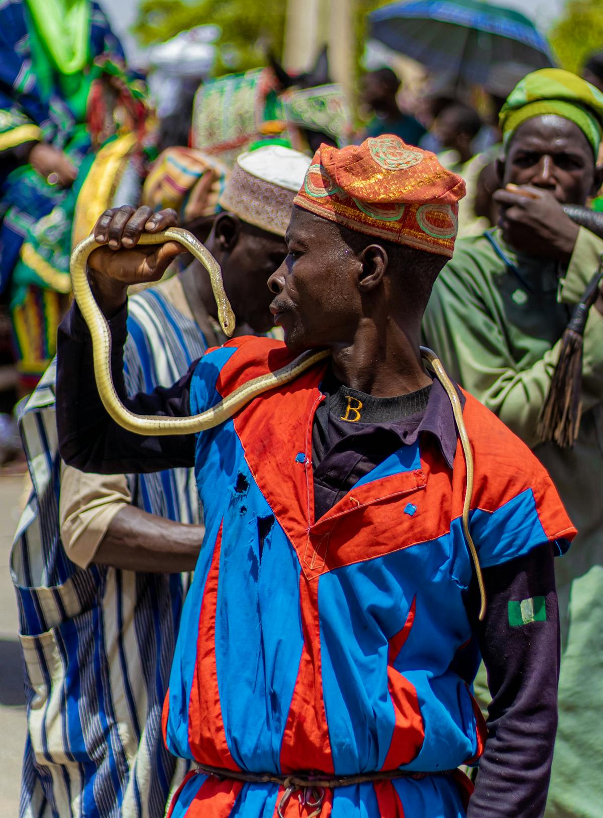 Snake Bite Photos, Download The BEST Free Snake Bite Stock Photos & HD ...