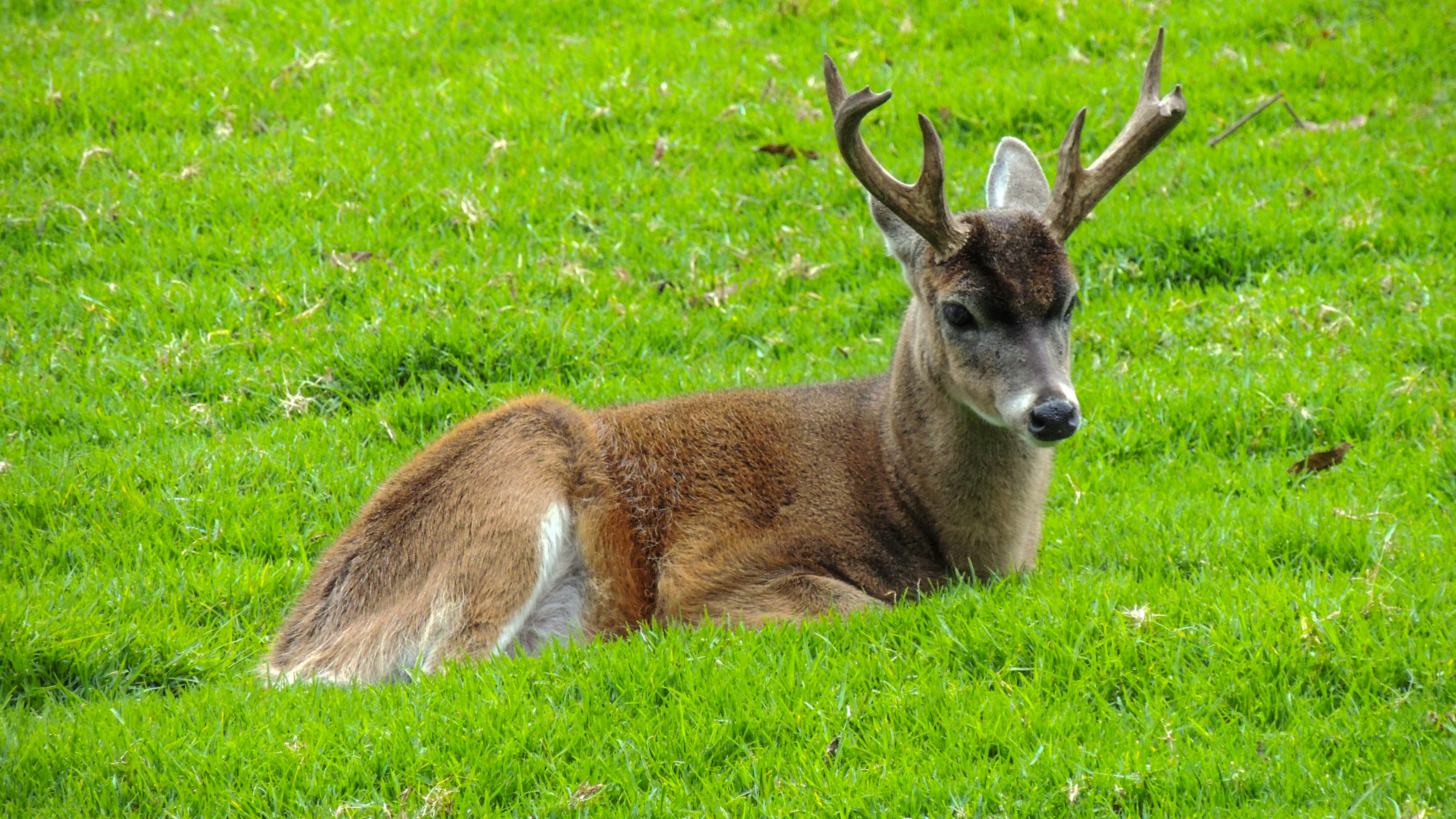 Cute Avatars Photos, Download The BEST Free Cute Avatars Stock Photos ...