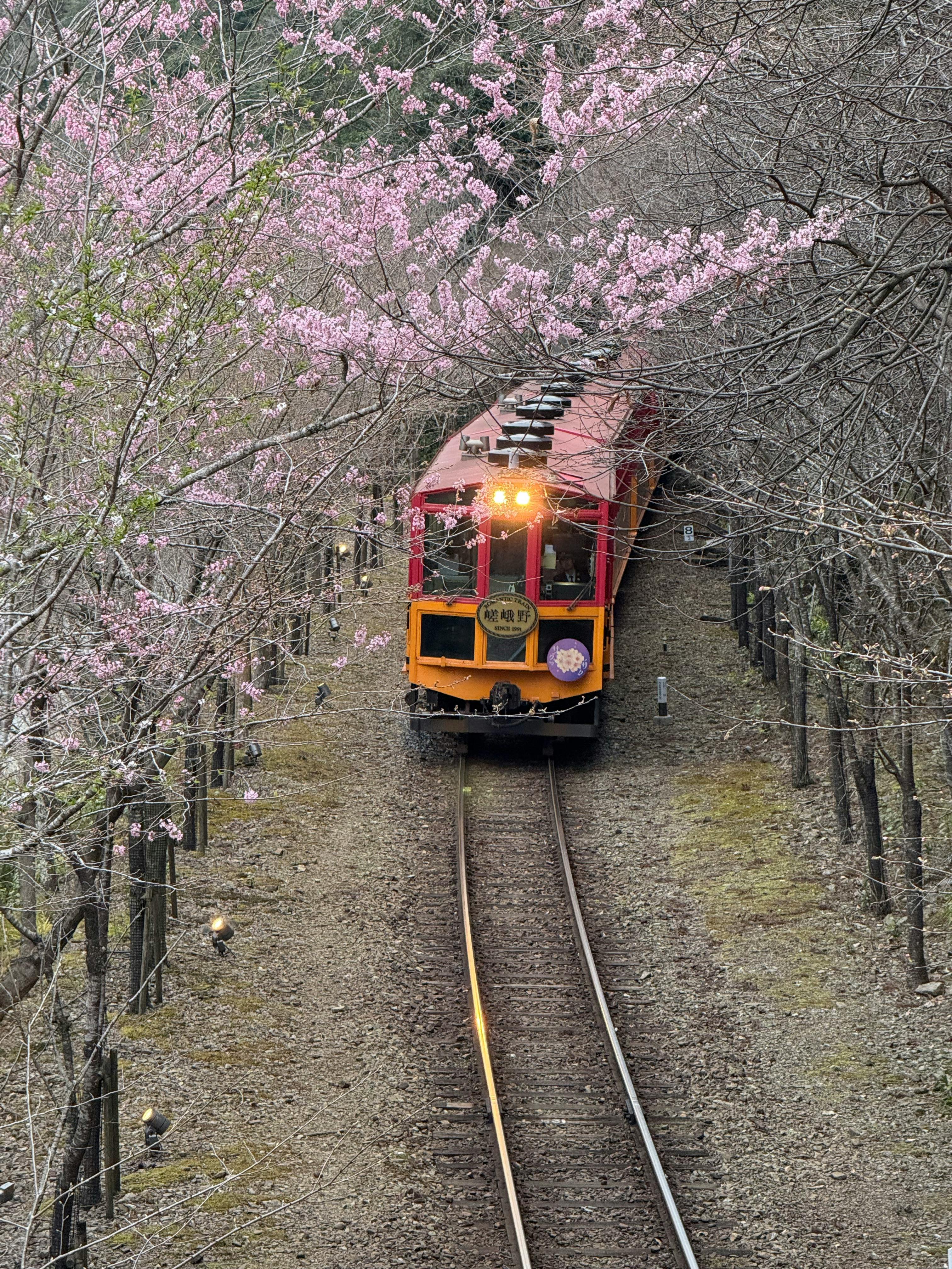 Zephyr Train Photos, Download The BEST Free Zephyr Train Stock Photos ...