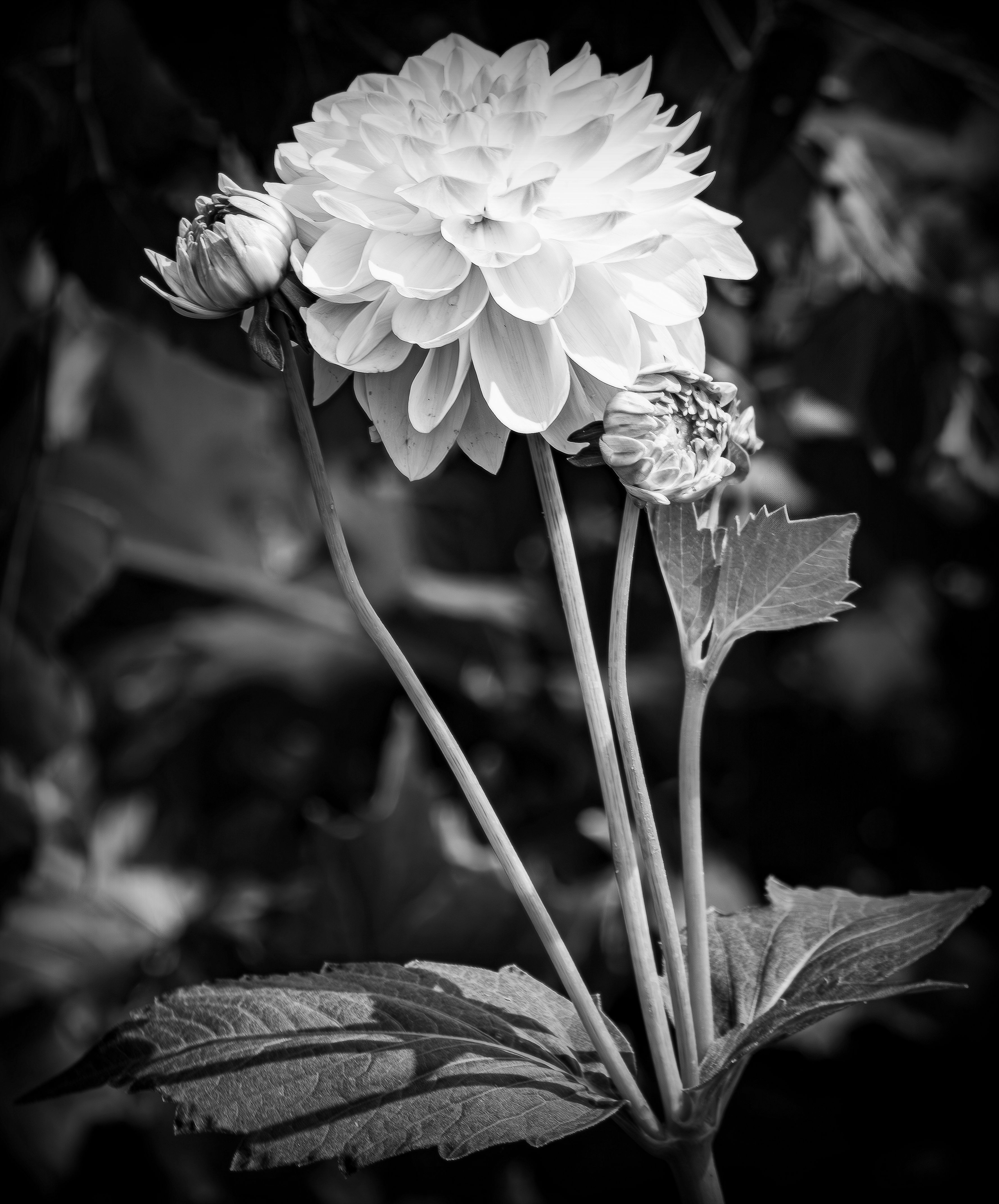 Bright Light Photos, Download The BEST Free Bright Light Stock Photos ...