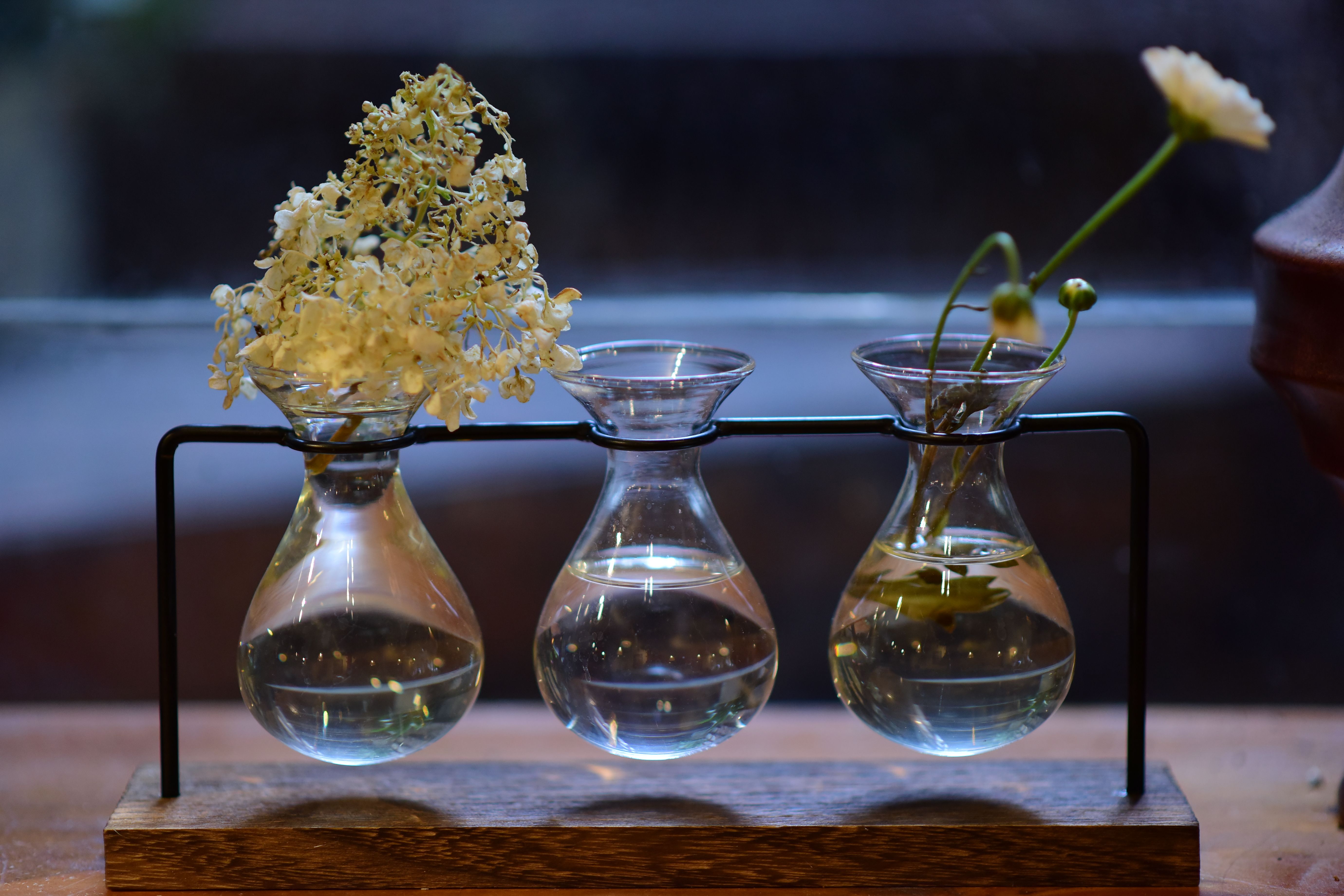 Vases Design Photos, Download The BEST Free Vases Design Stock Photos ...
