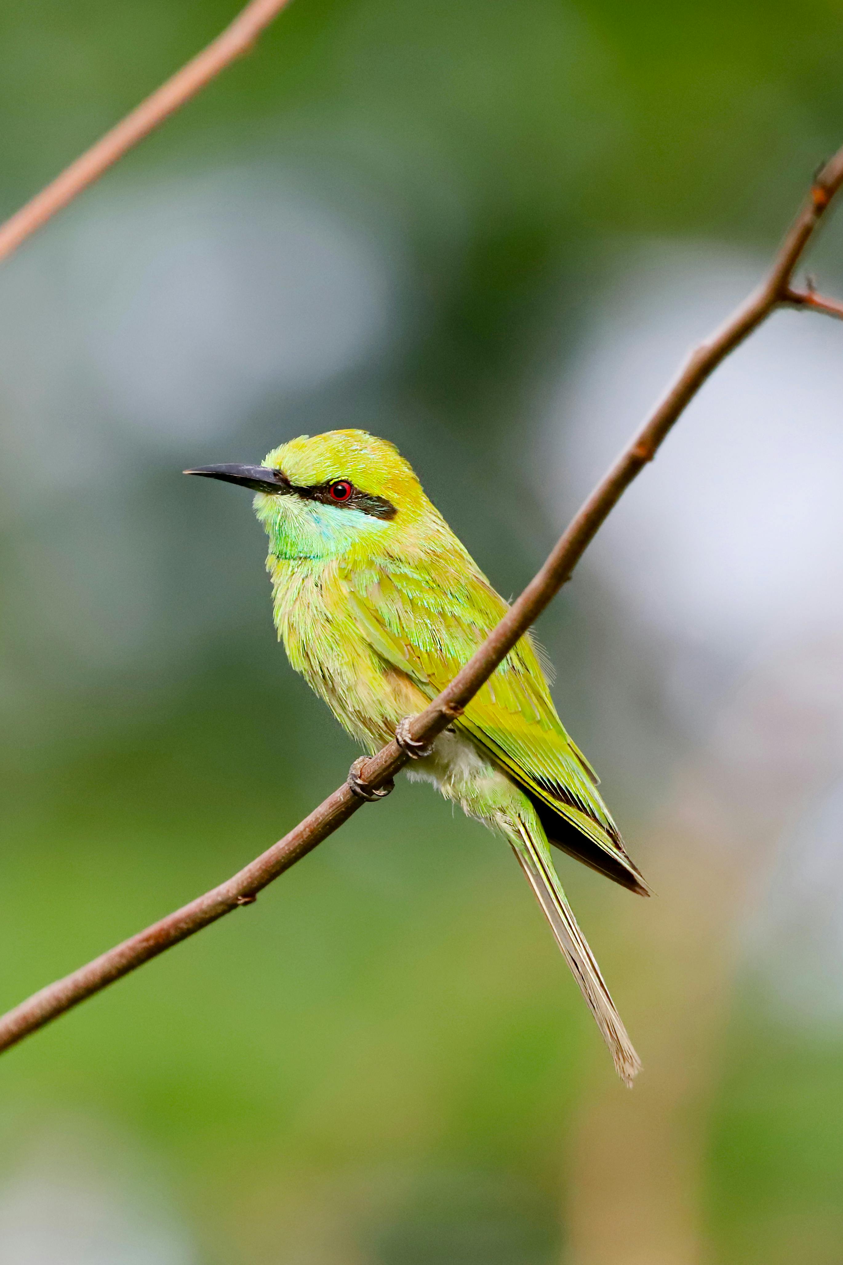 Small Size Photos, Download The BEST Free Small Size Stock Photos & HD ...