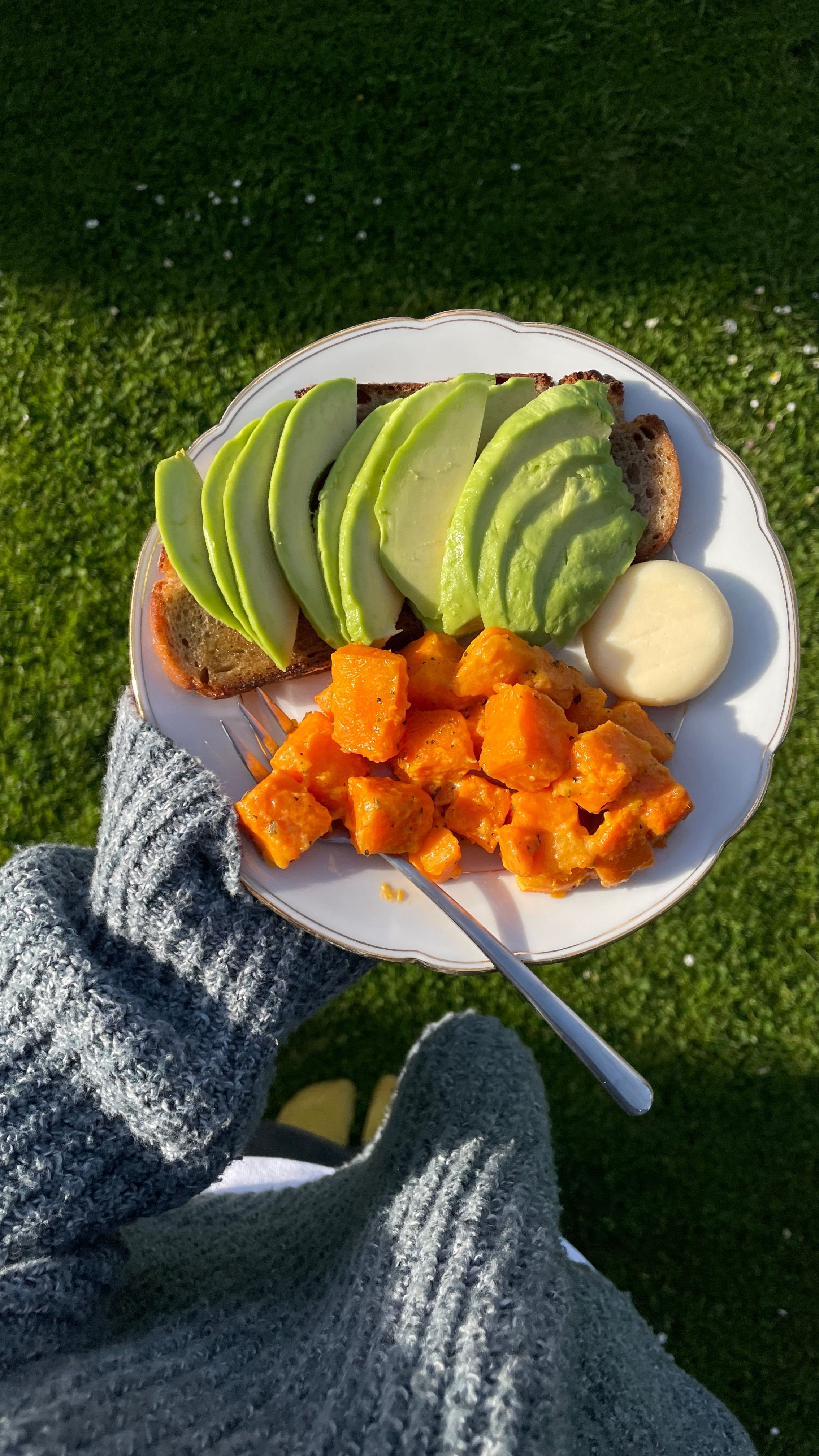 Avocado Toast with Sweet Potatoes on Grass · Free Stock Photo