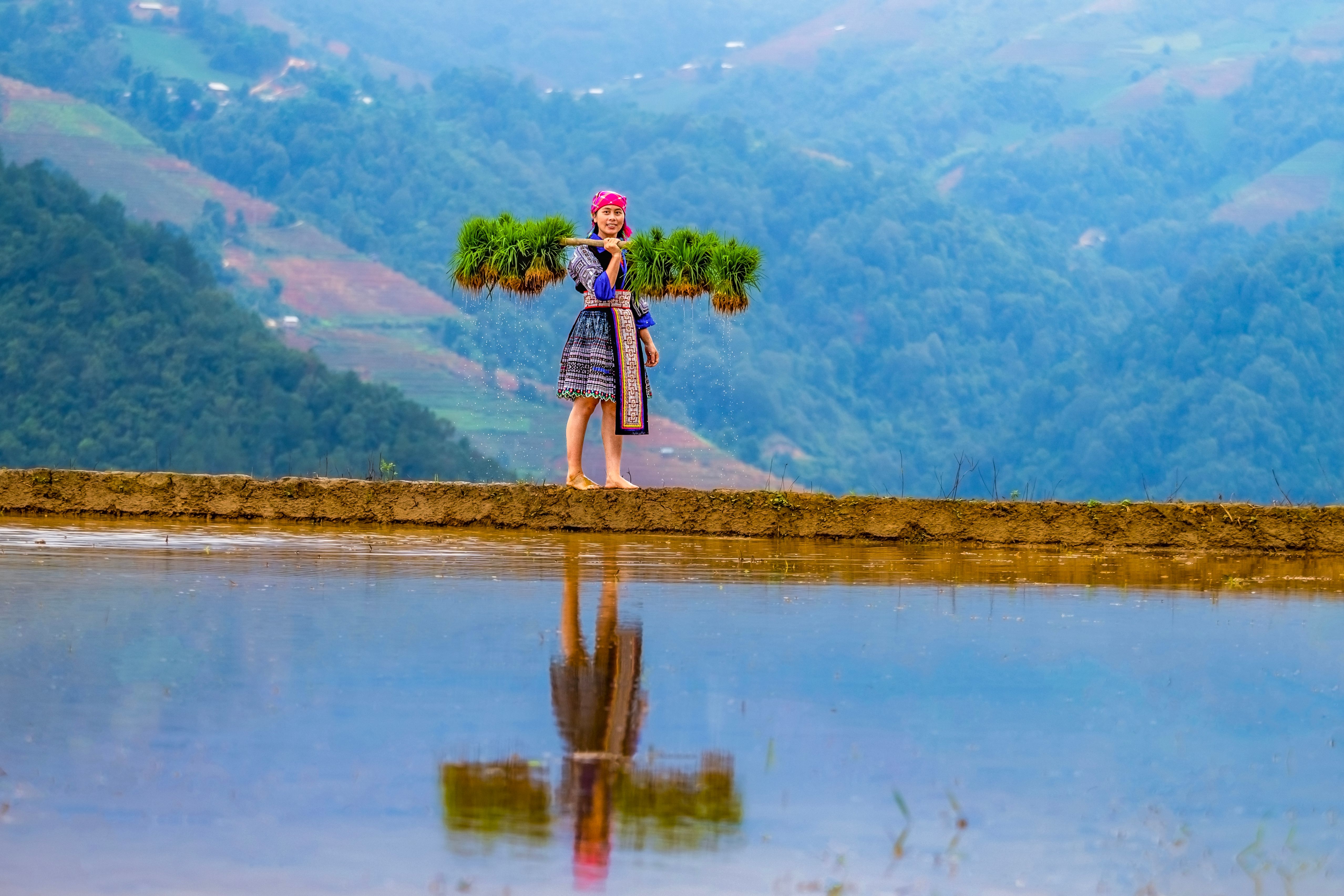 Woman in Traditional Dress Walking in Rice Field · Free Stock Photo