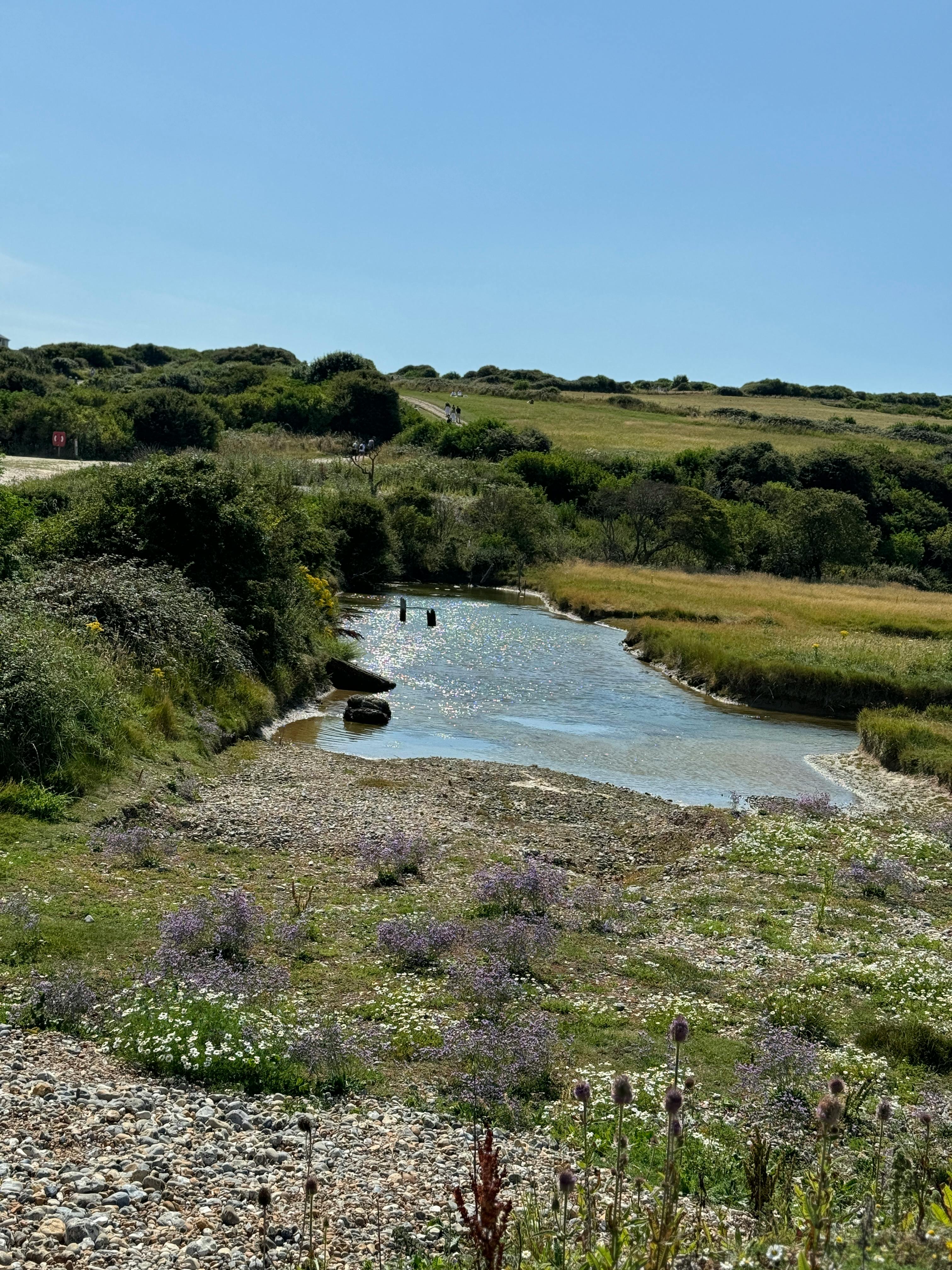 Tranquil River Embankment in Seaford, England · Free Stock Photo