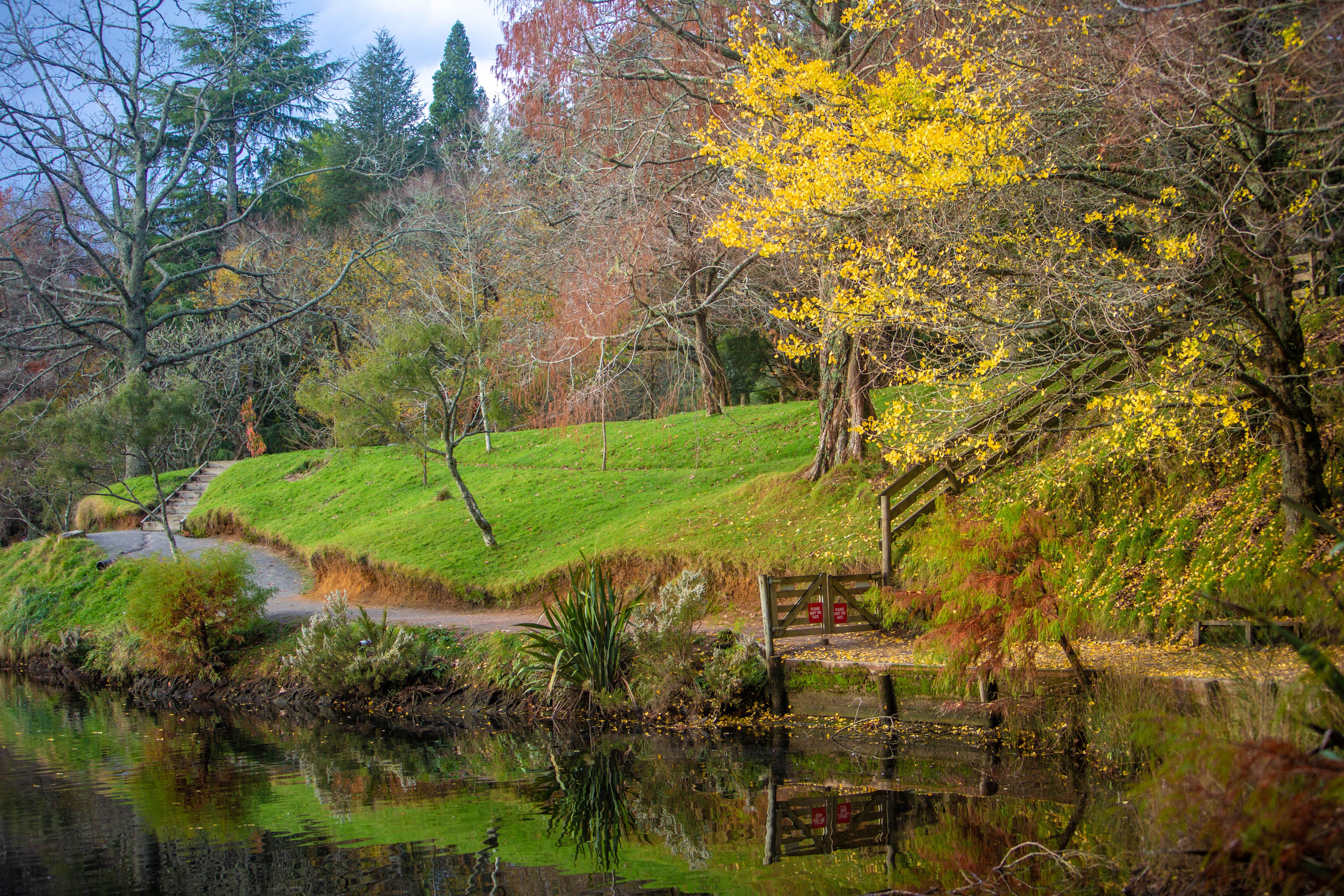 Serene Autumn Park Landscape with Reflection · Free Stock Photo