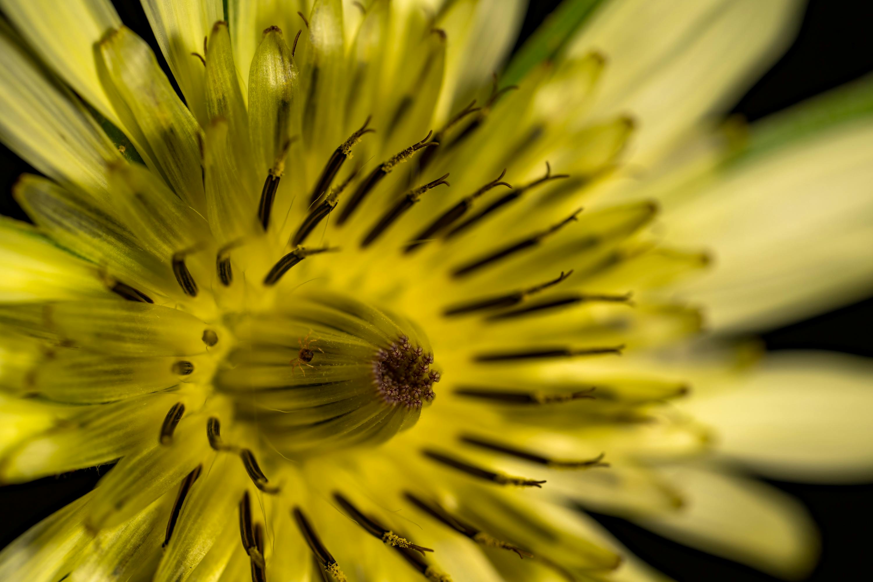 Hello June Photos, Download The BEST Free Hello June Stock Photos & HD ...