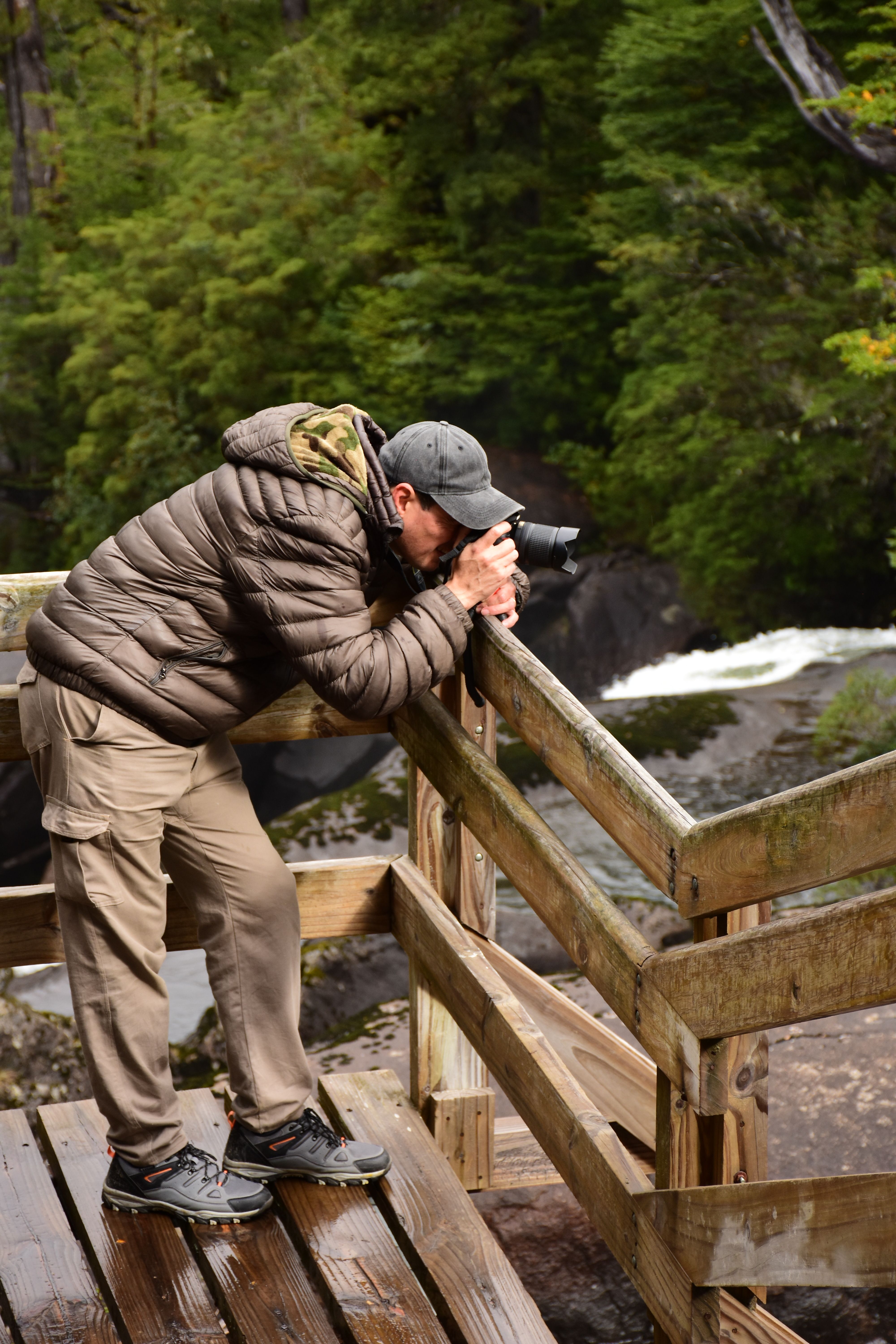 Forest Traveler Photographer Photos, Download The BEST Free Forest ...