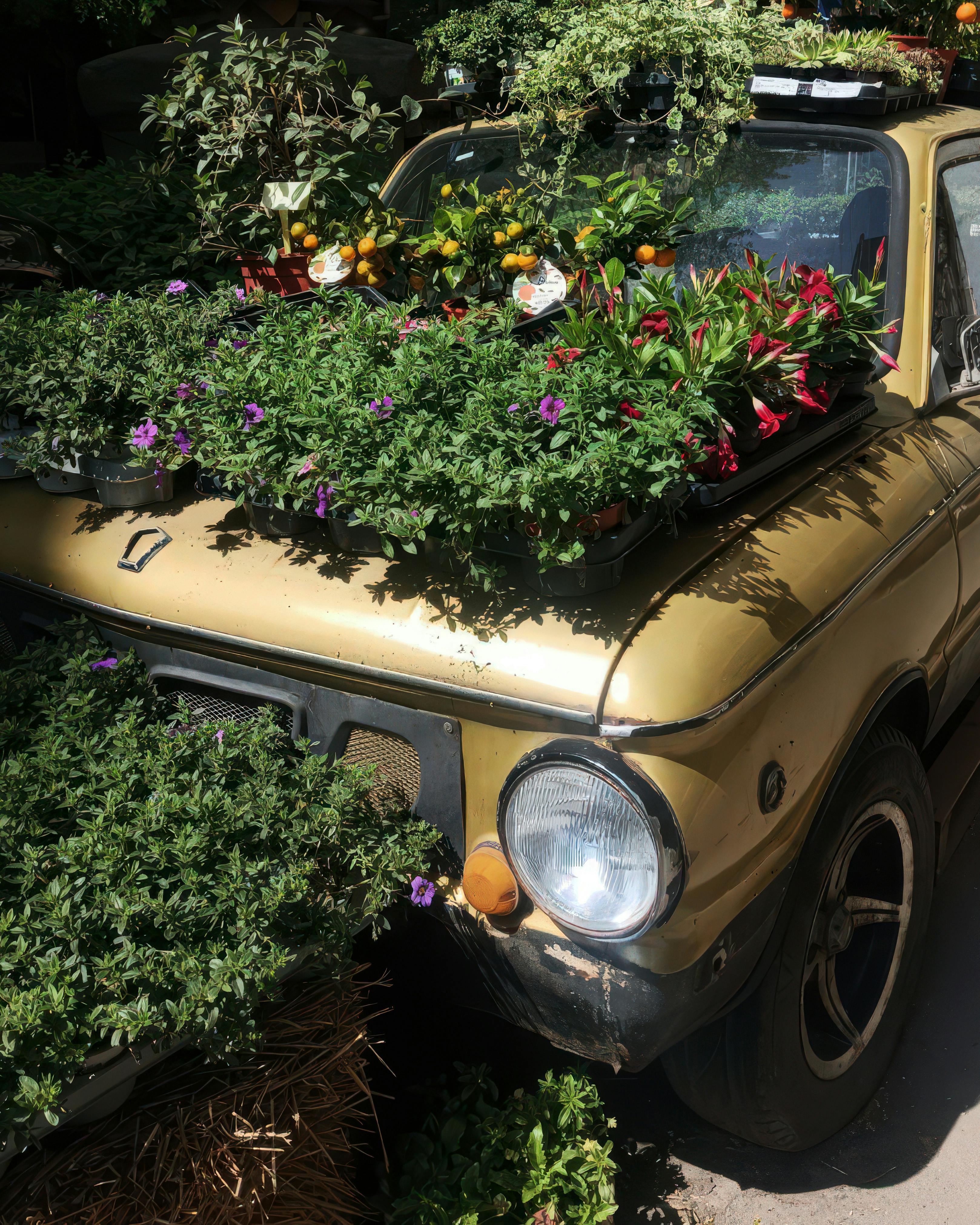 Vintage Car Covered with Vibrant Flowers · Free Stock Photo