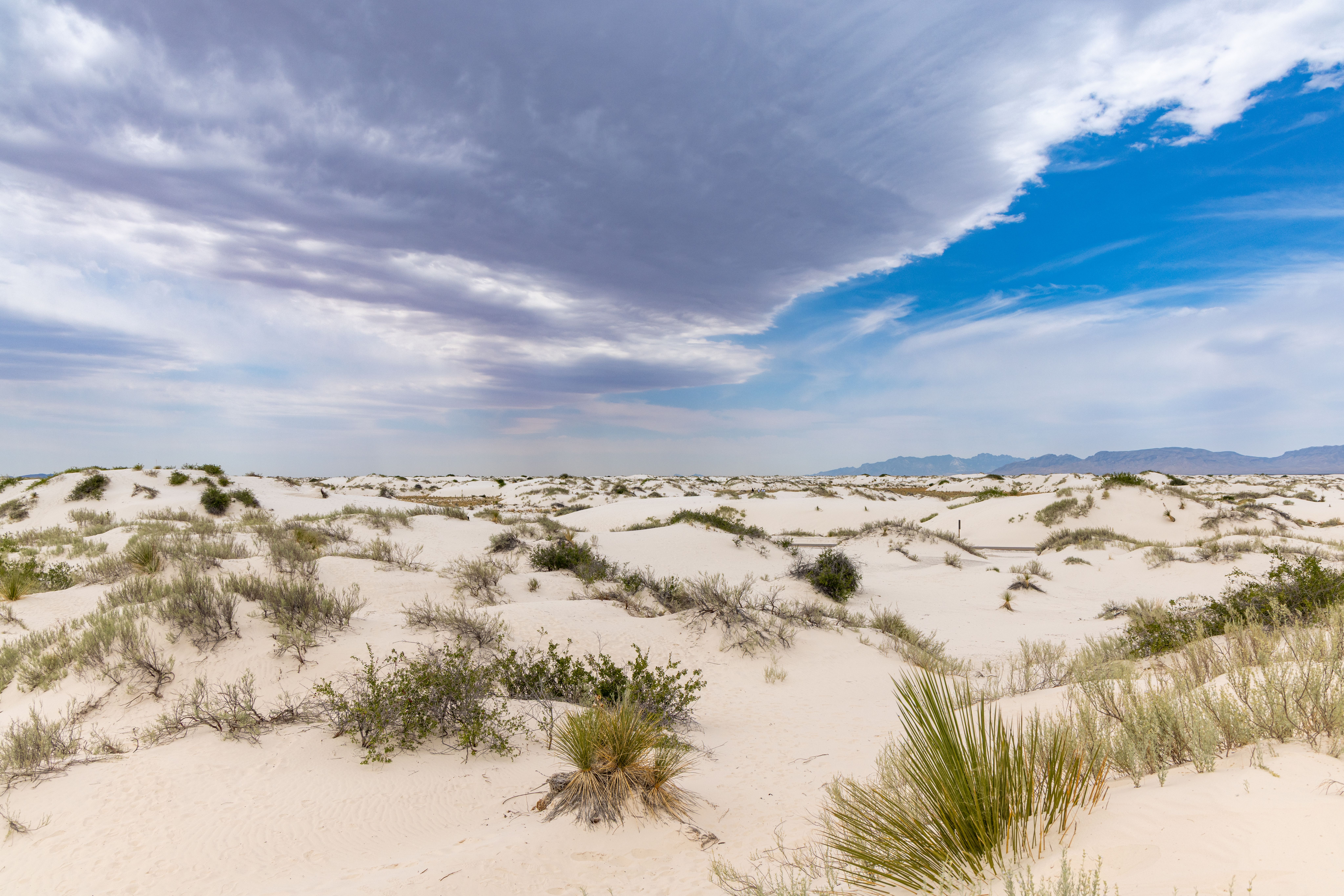 Stunning Desert Landscape in White Sands, New Mexico · Free Stock Photo