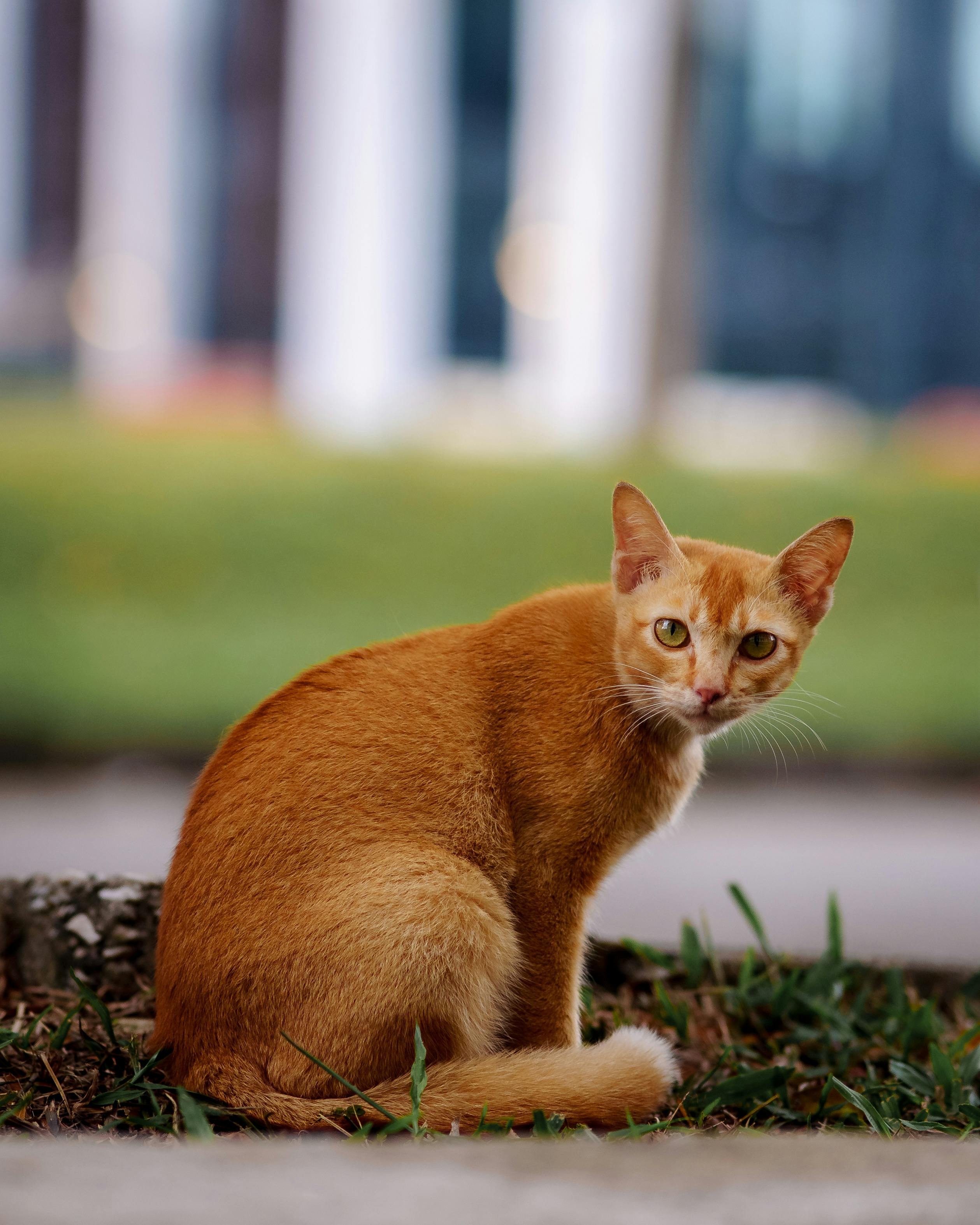 Alert Photos, Download The BEST Free Alert Stock Photos & HD Images