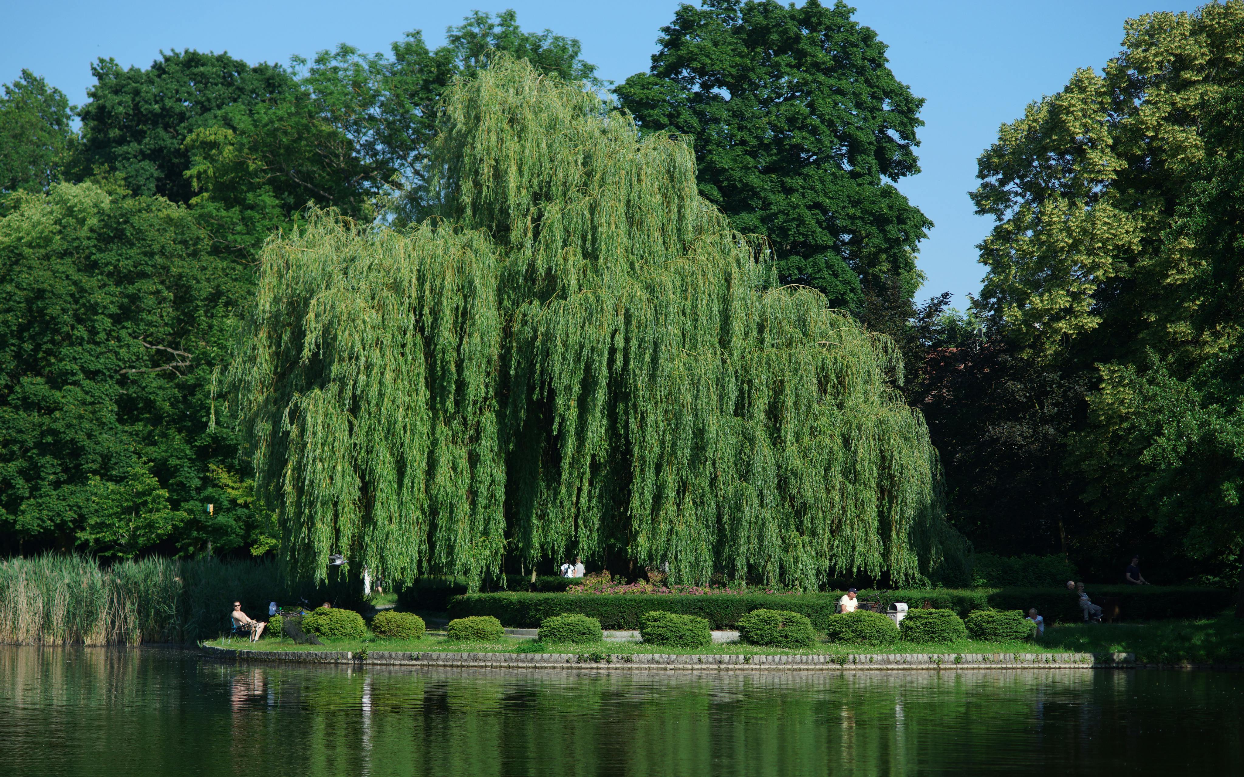 4k Wallpaper Iit Roorkee Photos, Download The BEST Free 4k Wallpaper ...