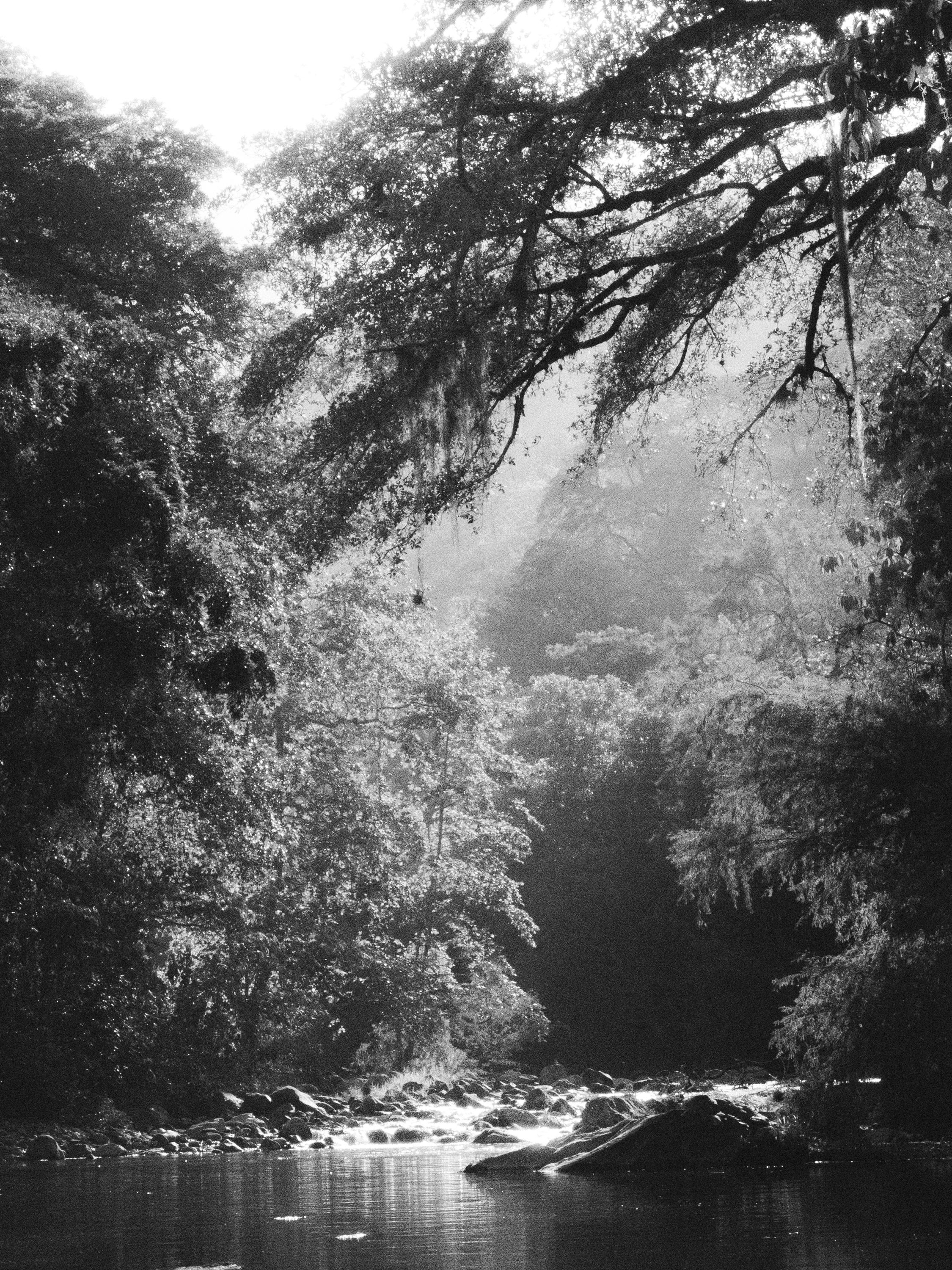 Black and White River Scene in Tamasopo · Free Stock Photo