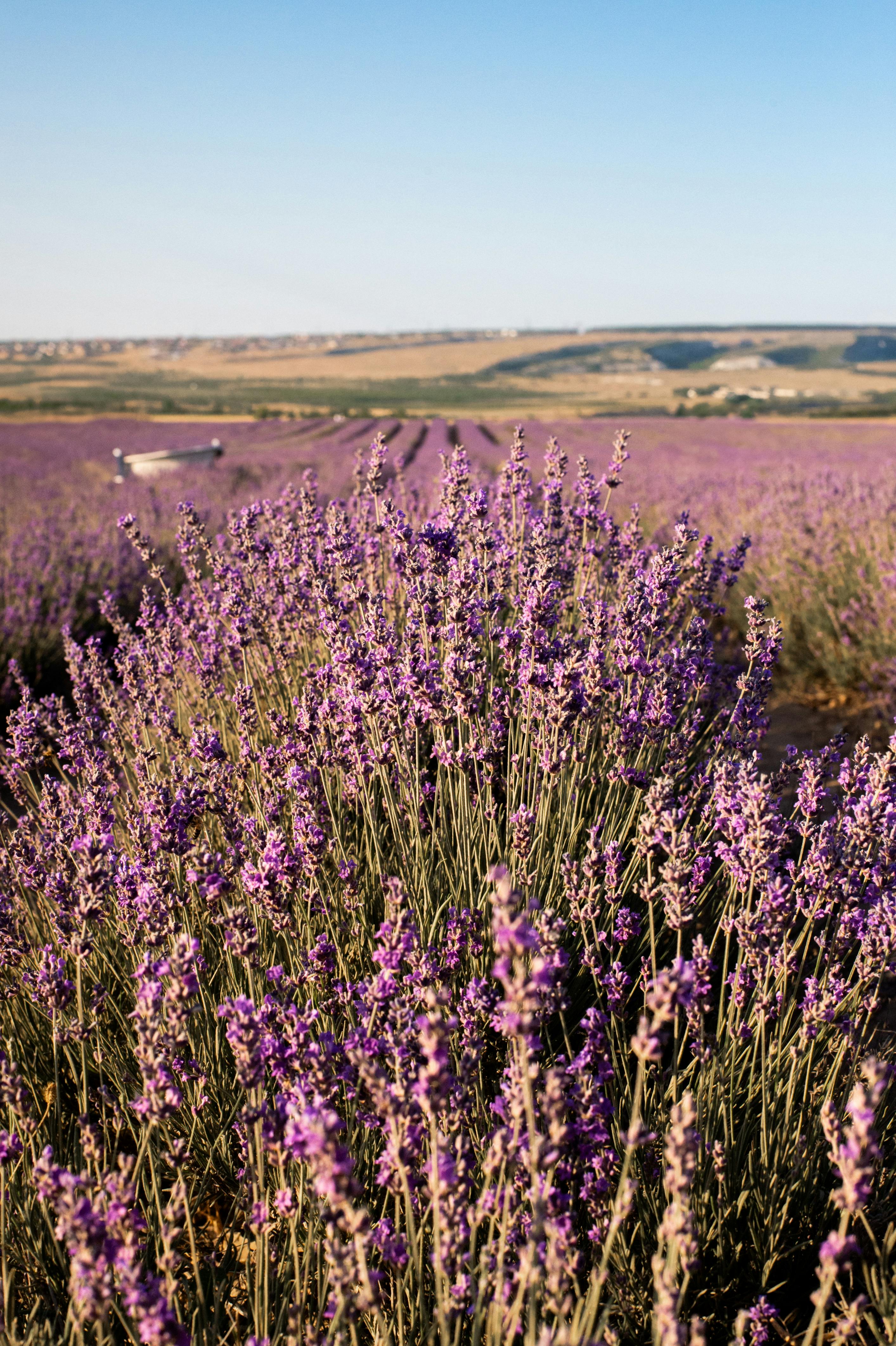 Calming Photos, Download The BEST Free Calming Stock Photos & HD Images