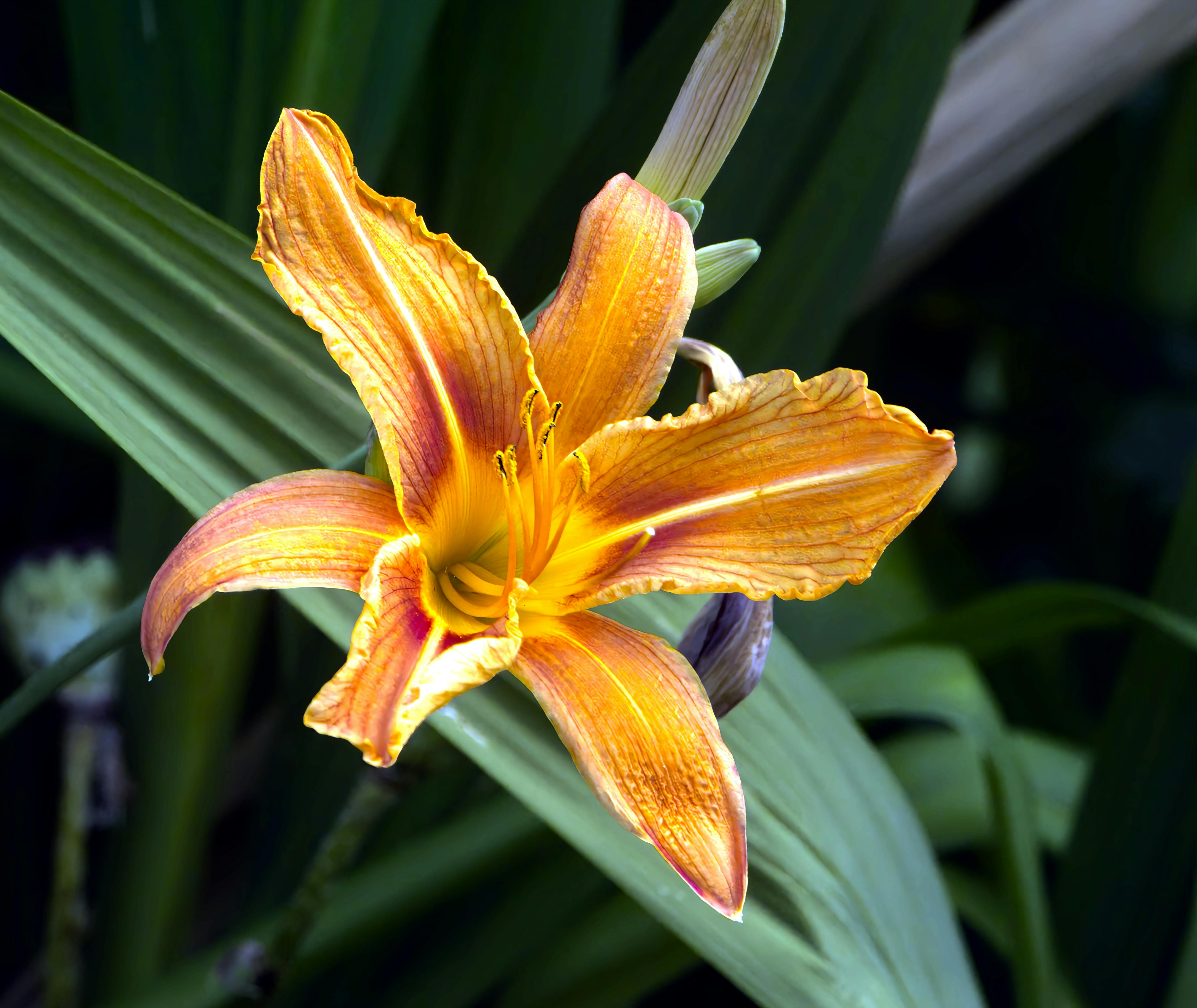 Washington State Photos, Download The BEST Free Washington State Stock ...