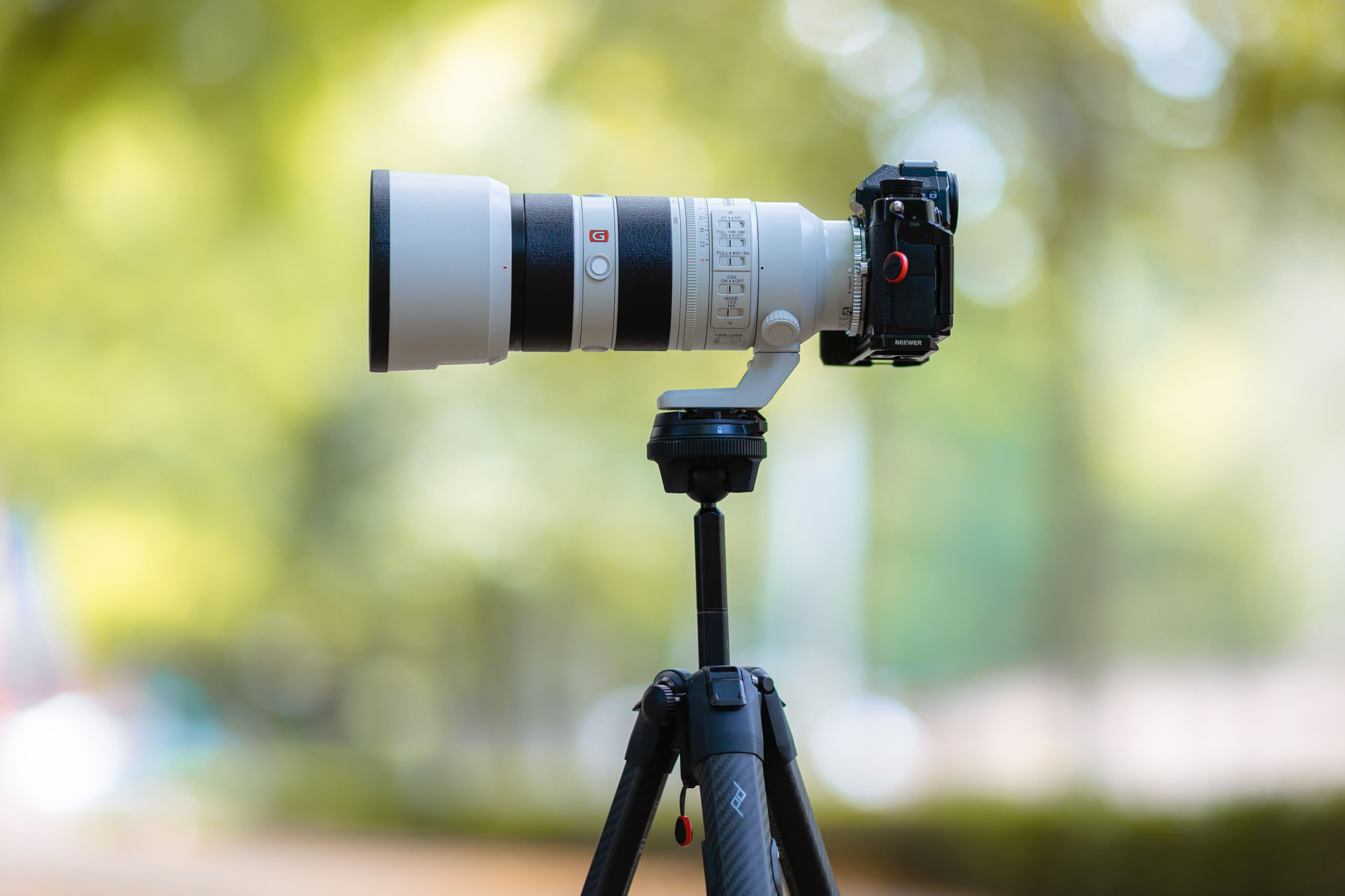 Professional Camera Setup in Outdoor Environment · Free Stock Photo
