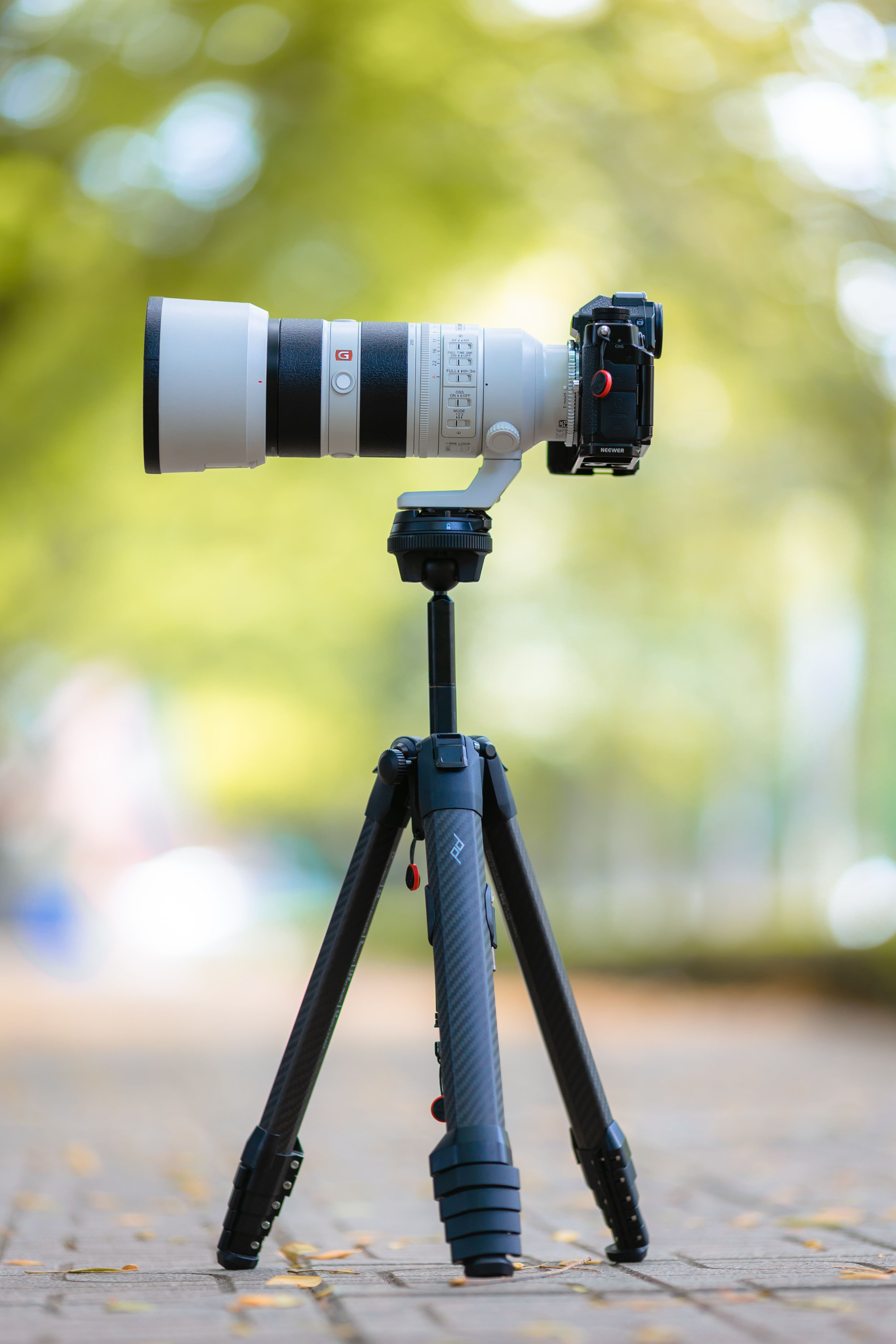 Professional Camera on Tripod in Park Setting · Free Stock Photo