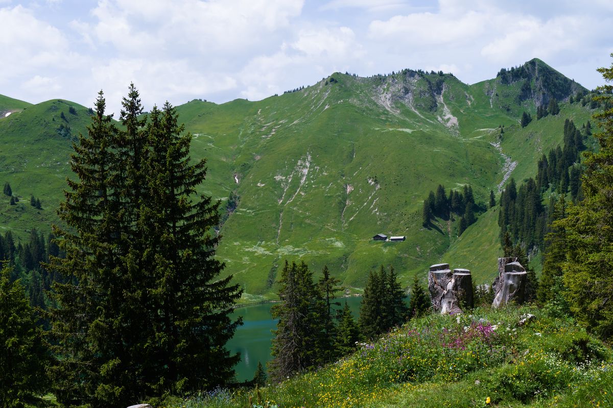 Alpine Scenery In Wolfenschiessen, Switzerland Photos, Download The ...