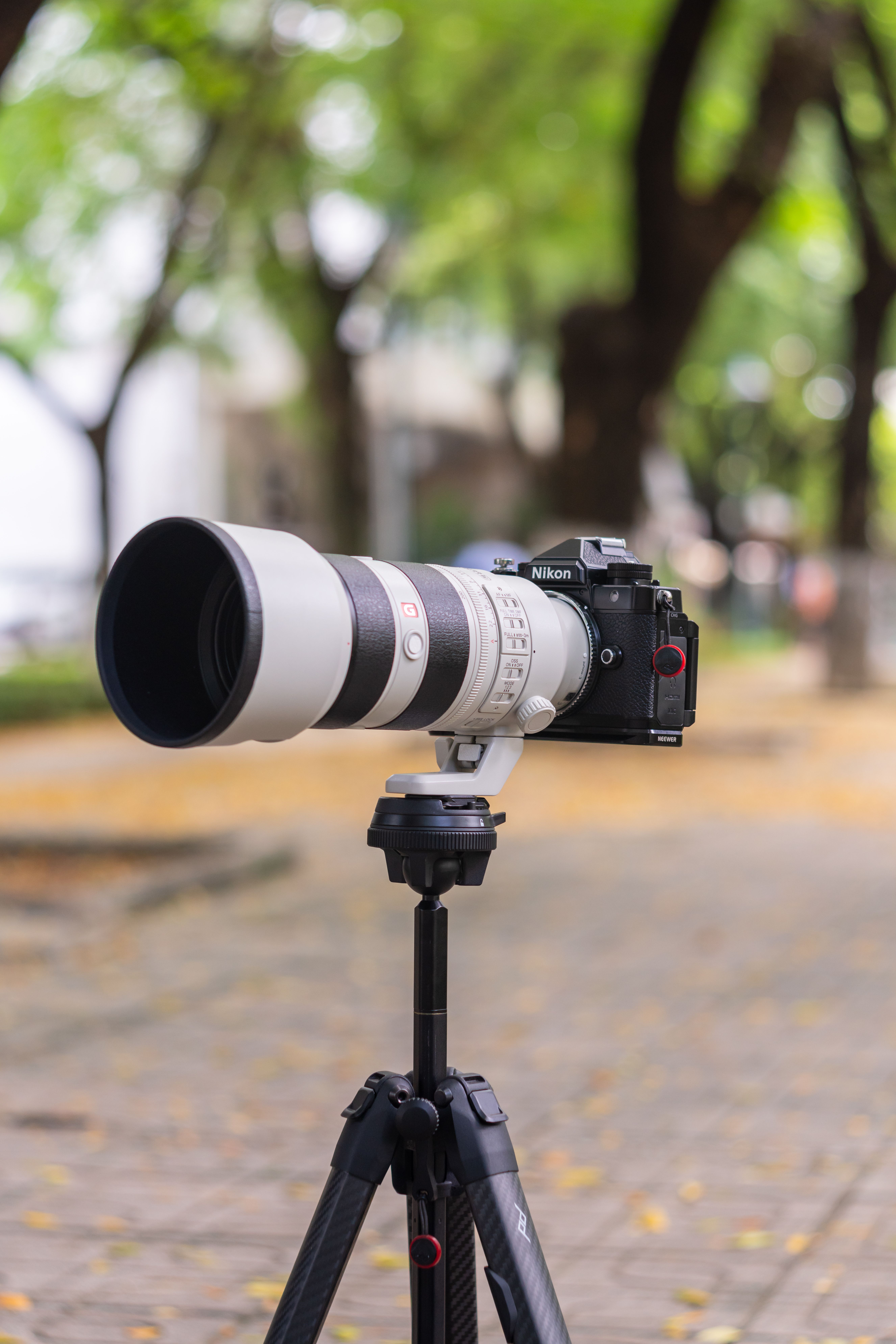 Professional Camera Setup on Tripod Outdoors · Free Stock Photo