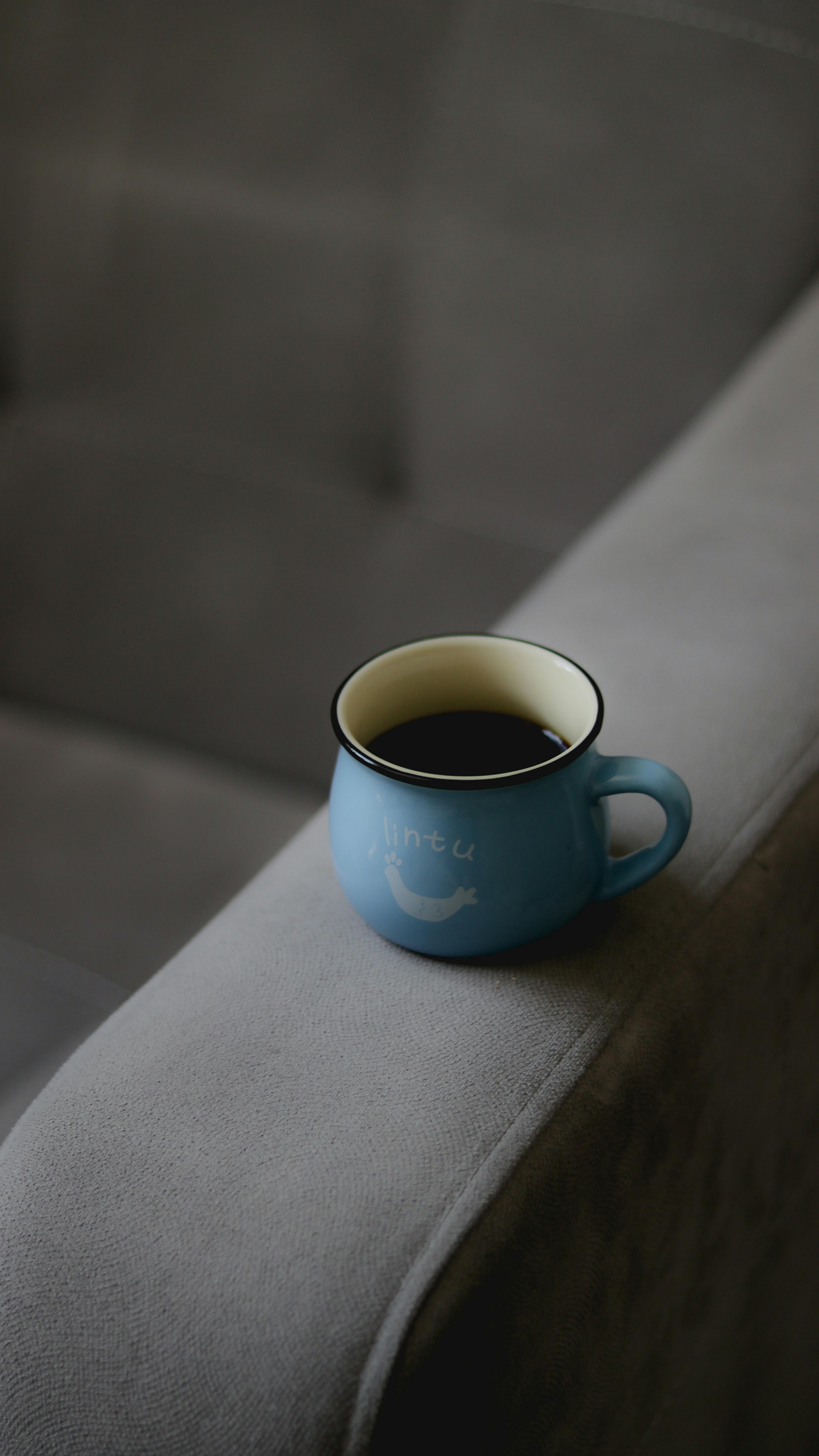 Gabbie+Carter+Hot Photos, Download The BEST Free Gabbie+Carter+Hot ...