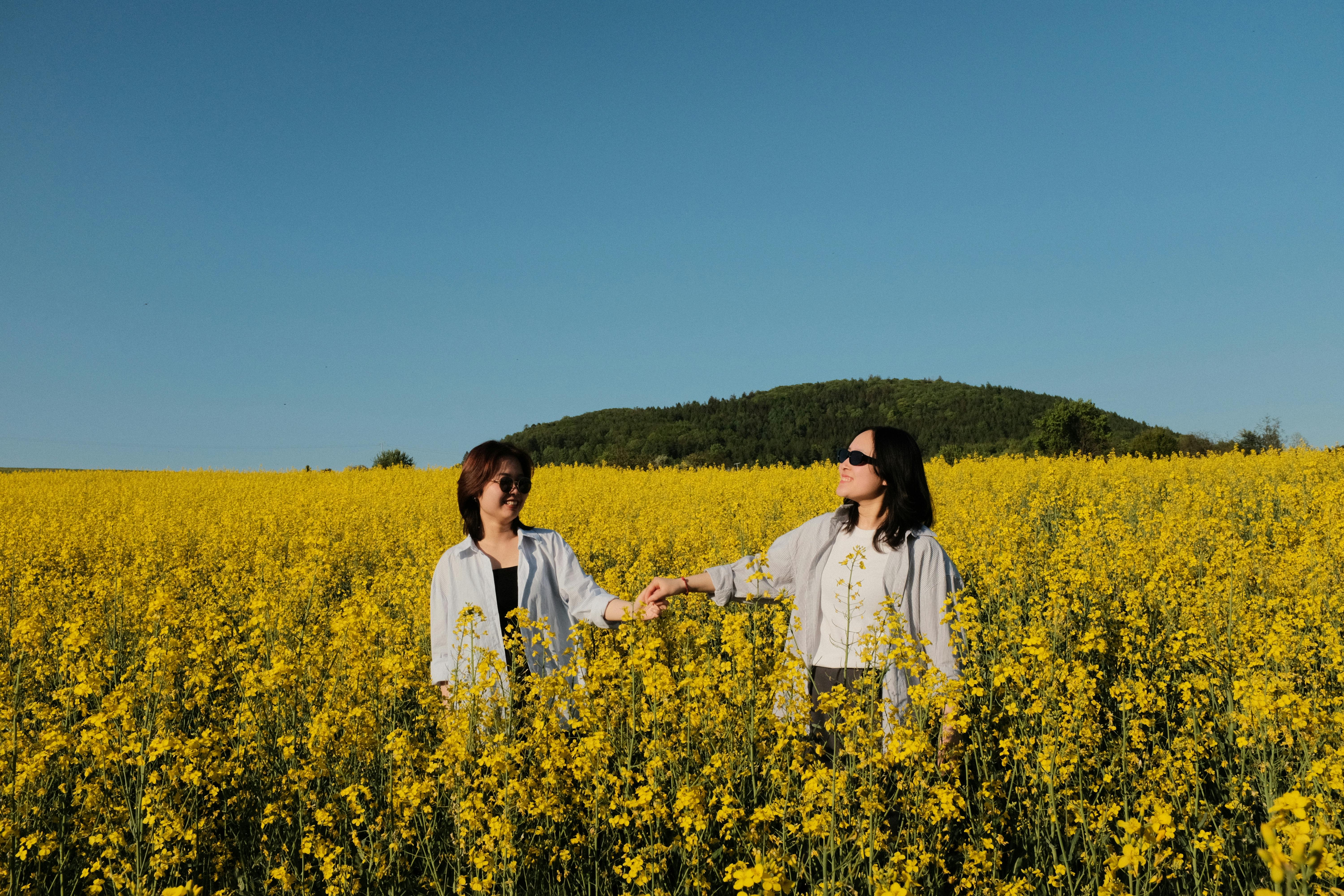 Happy Feast Day Background Borders With Flowers Photos, Download The ...