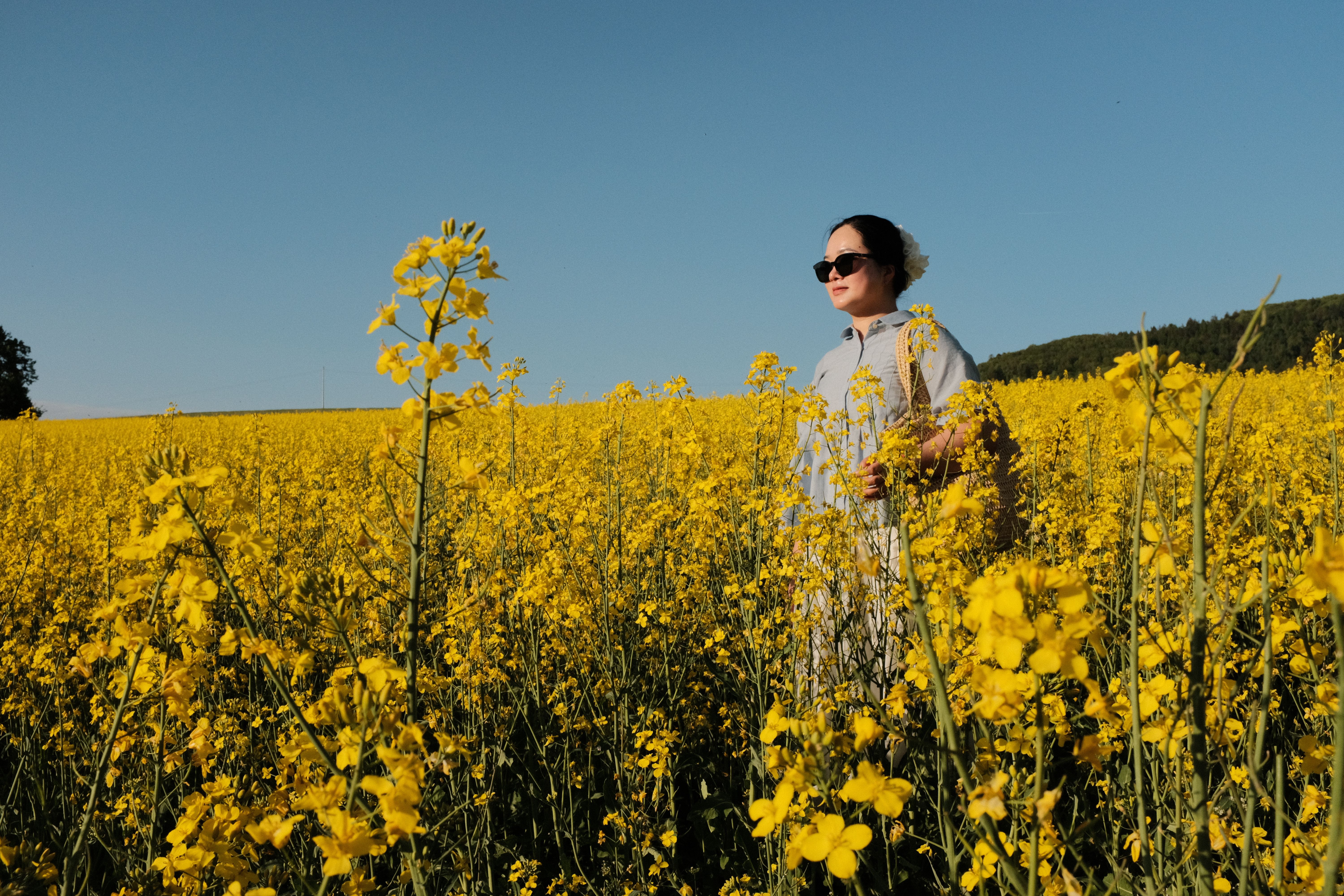 Wesola Farm Photos, Download The BEST Free Wesola Farm Stock Photos ...
