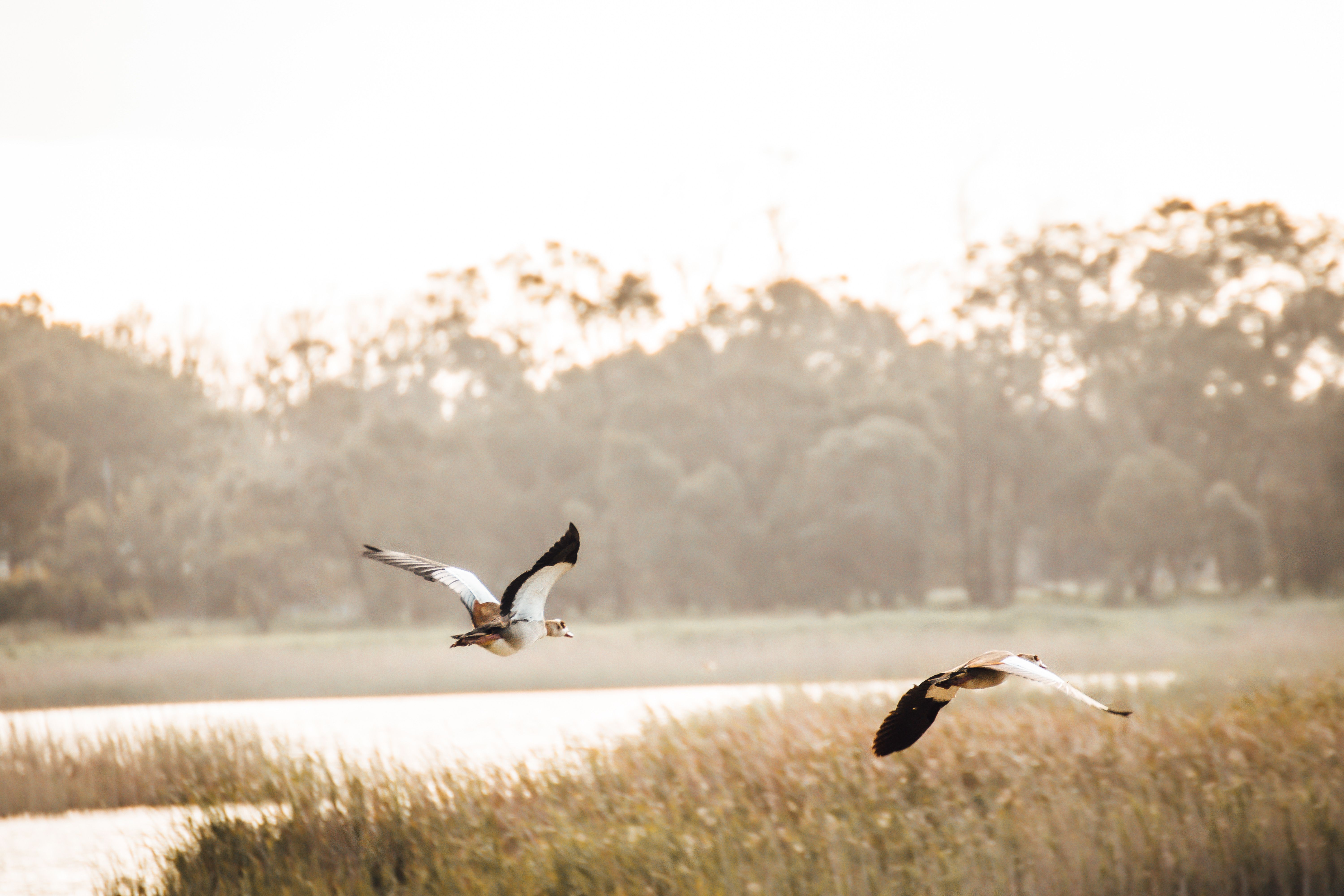 Morning Autumn Photos, Download The BEST Free Morning Autumn Stock ...