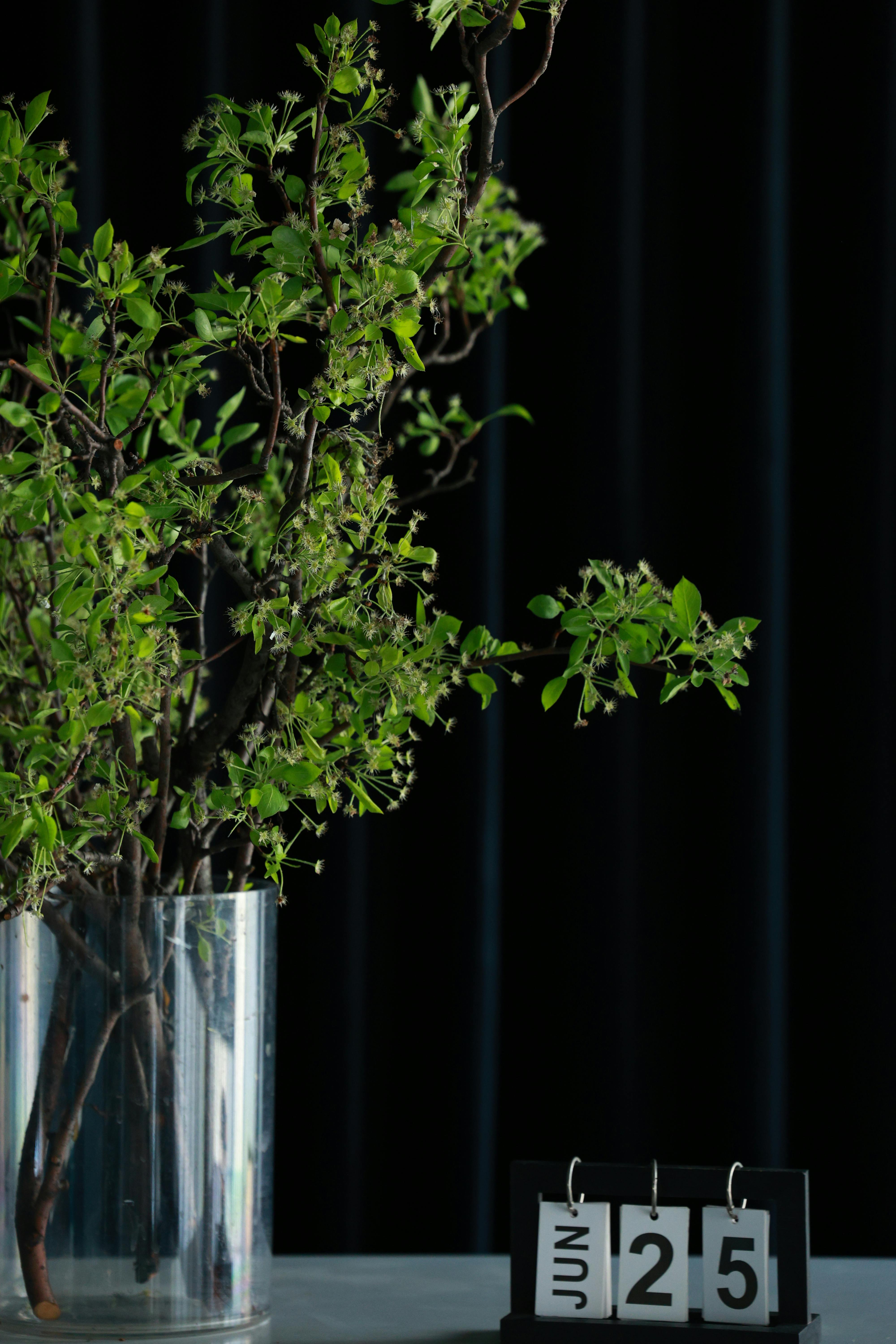 Tuff+Wallpapers+For+Desktop Photos, Download The BEST Free Tuff ...