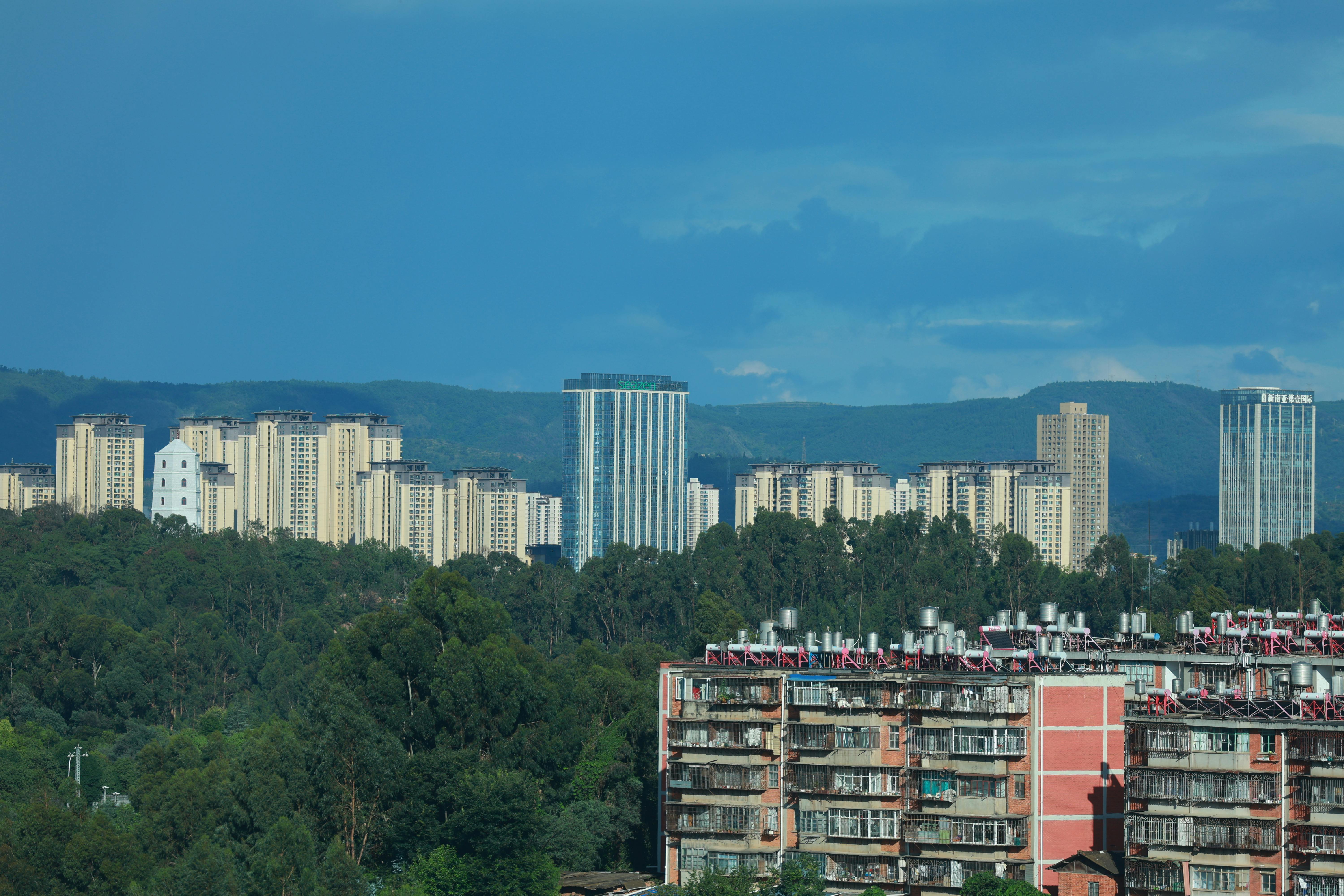 Andy Lee - Photography