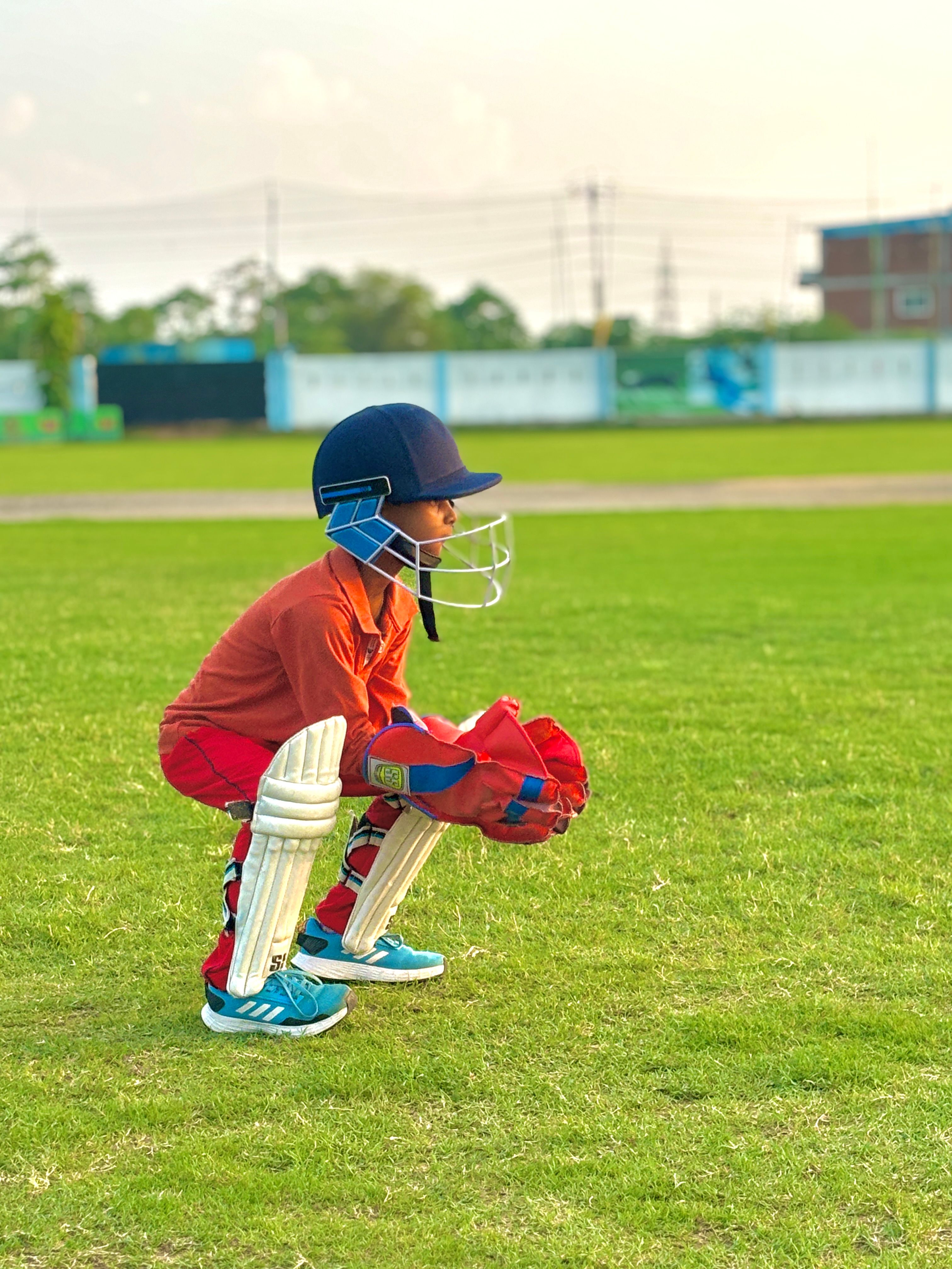 Cricket Photos, Download The BEST Free Cricket Stock Photos & HD Images