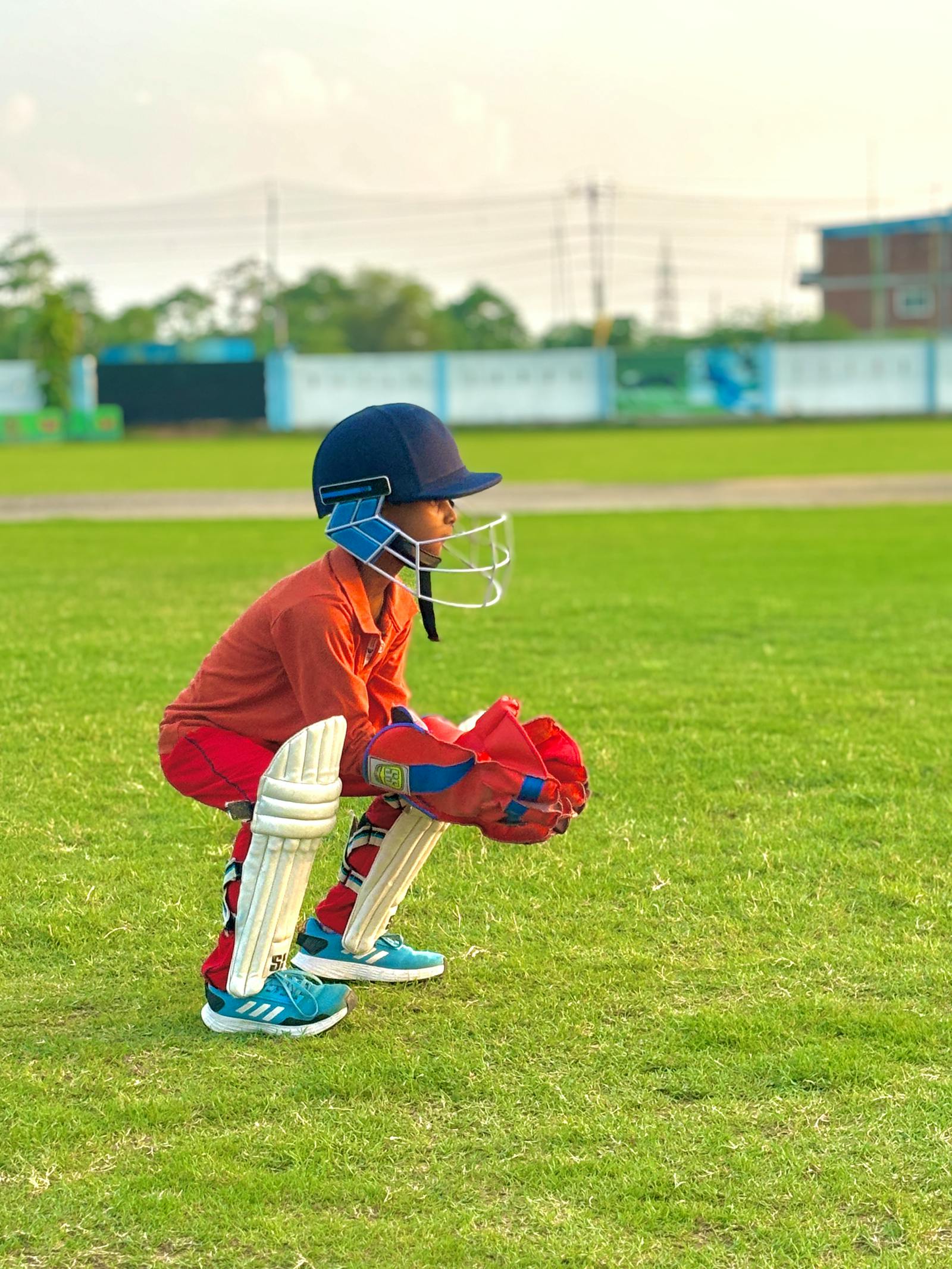 Cricket Photos, Download The BEST Free Cricket Stock Photos & HD Images