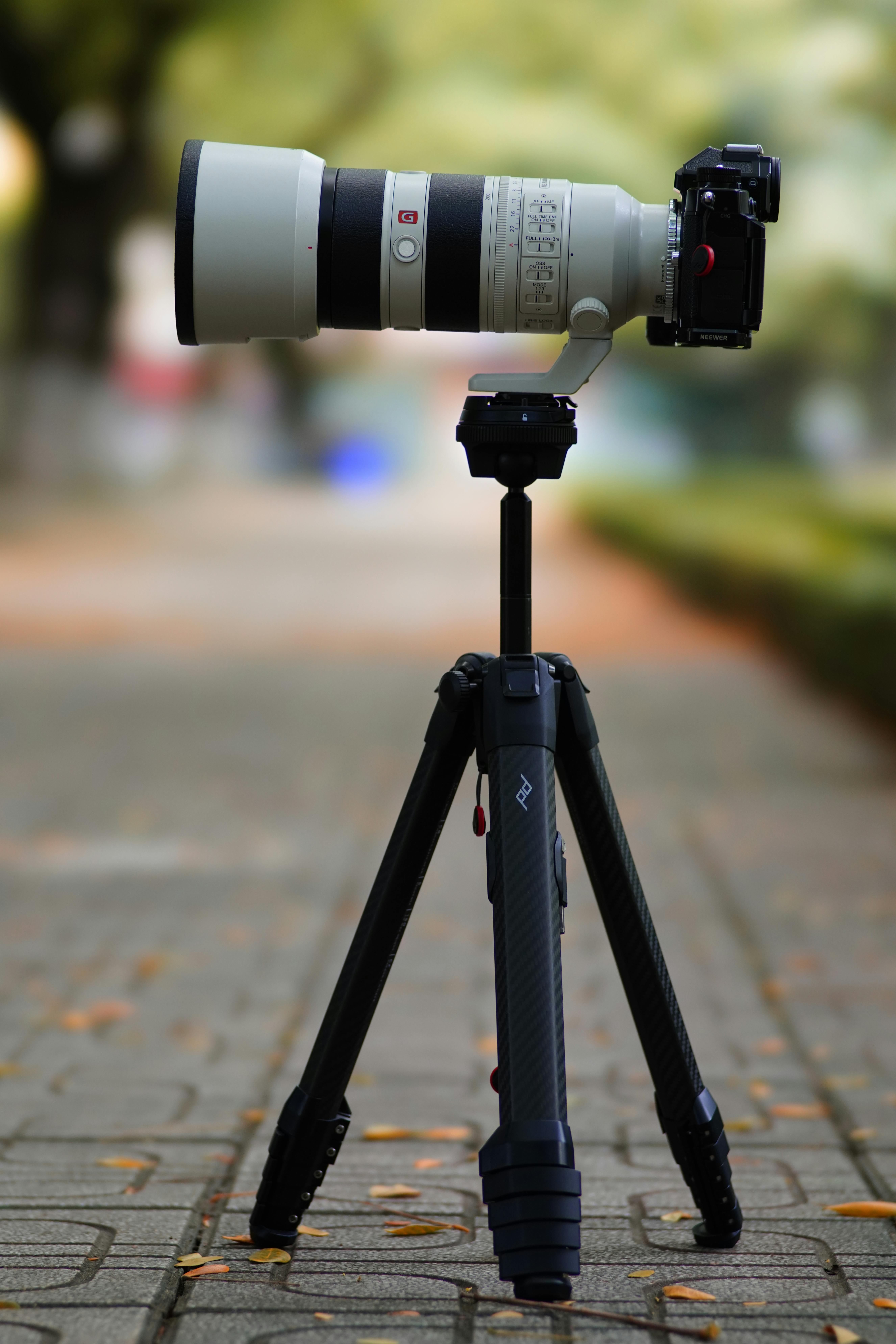 Photography Sony Photos, Download The BEST Free Photography Sony Stock ...