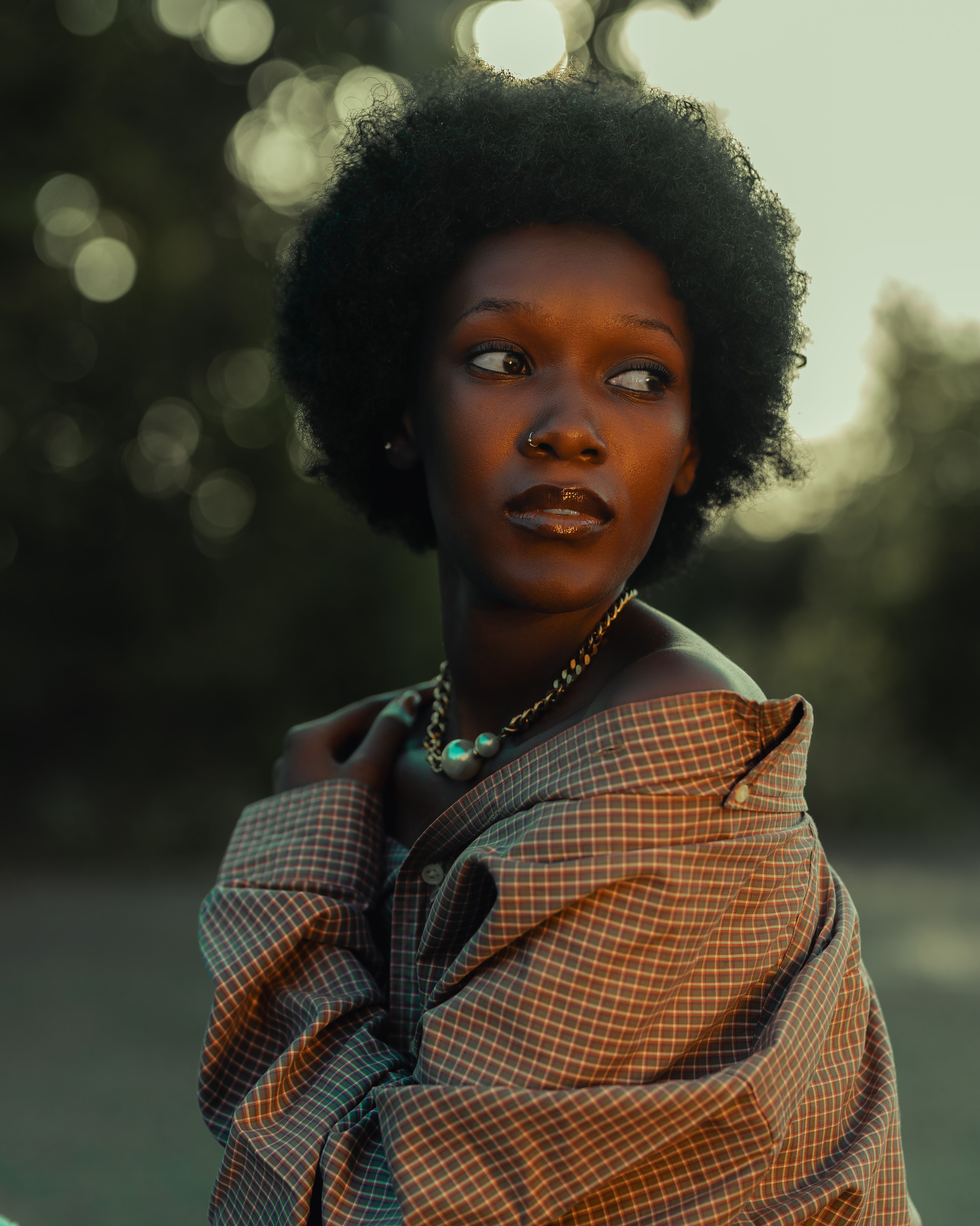 Portrait of Woman with Natural Afro Hairstyle · Free Stock Photo