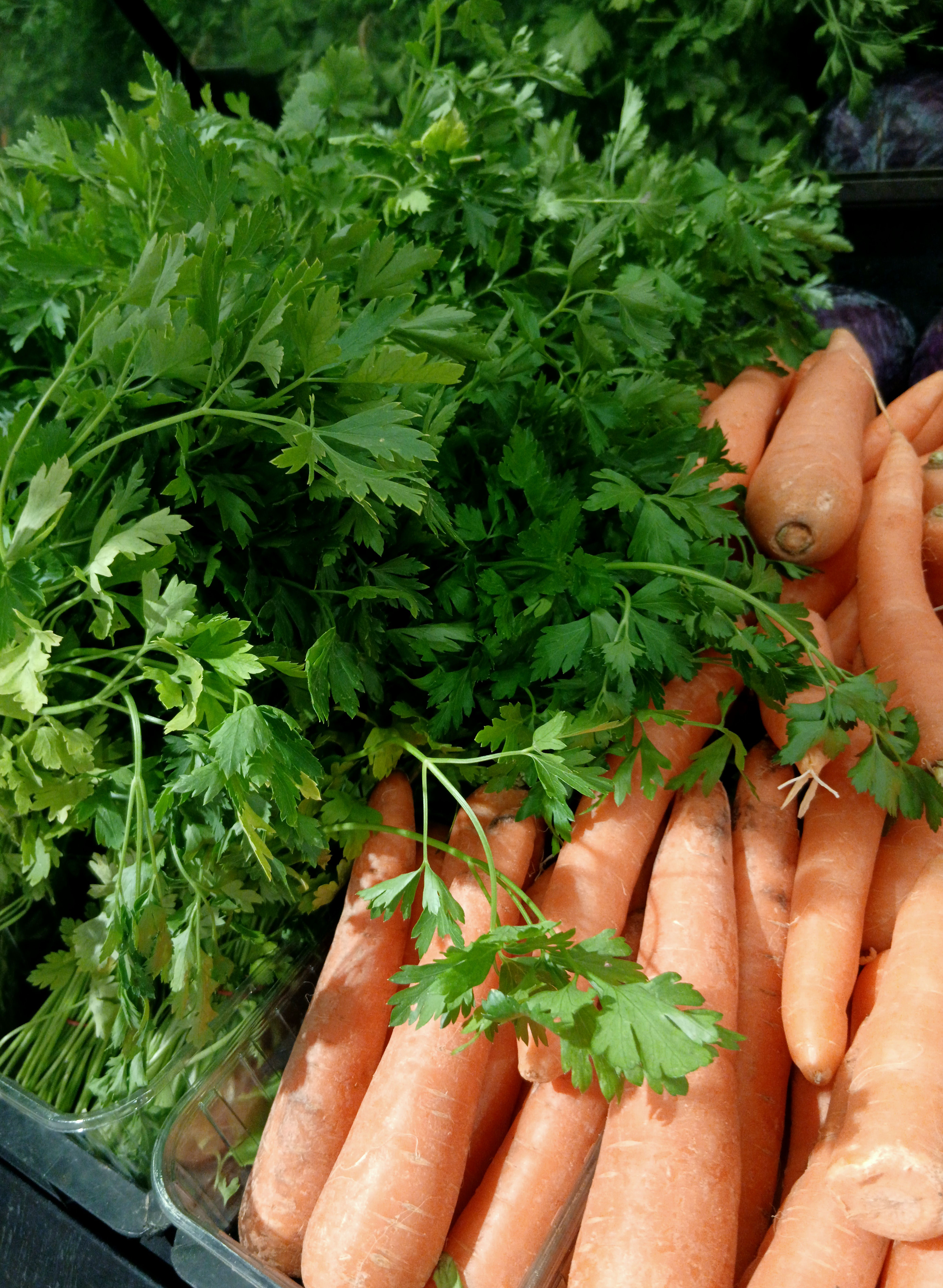 Muddy Carrots Photos, Download The BEST Free Muddy Carrots Stock Photos ...