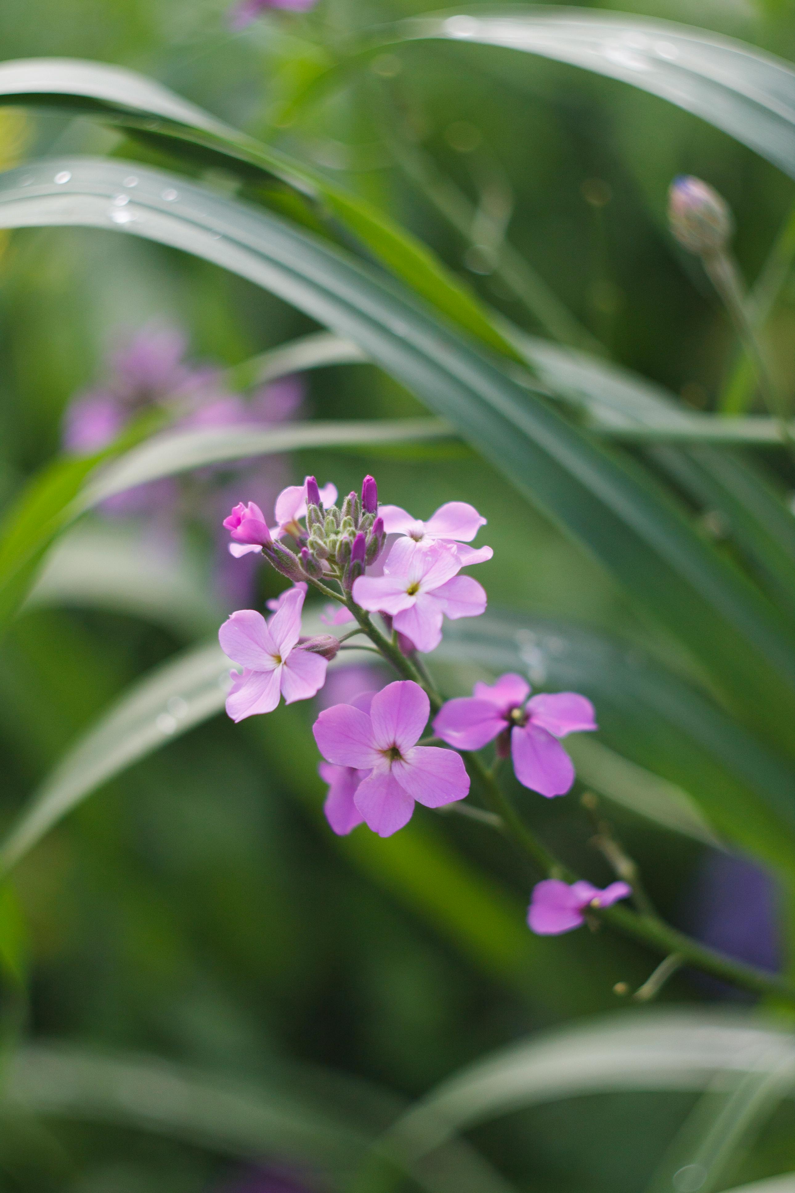 Calming Backgrounds Photos, Download The BEST Free Calming Backgrounds ...